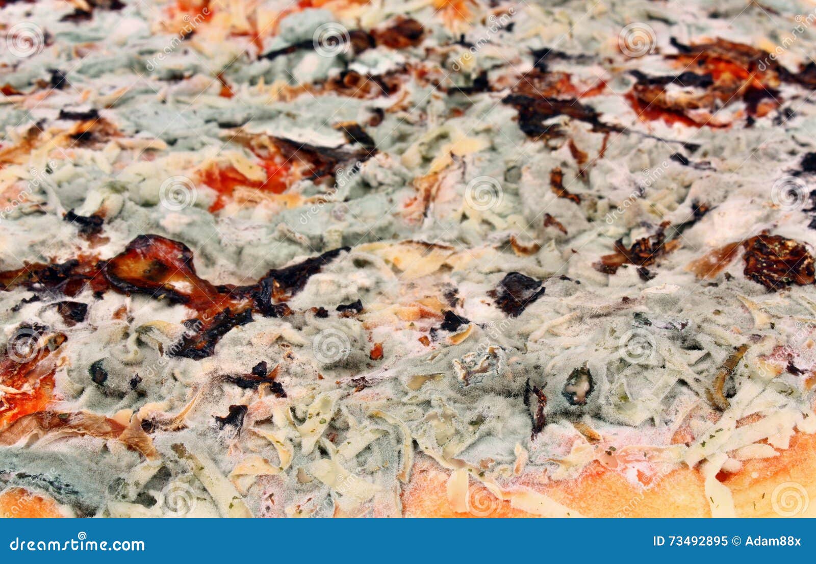 Moldy pizza stock image. Image of fresh, food, fungus - 73492895