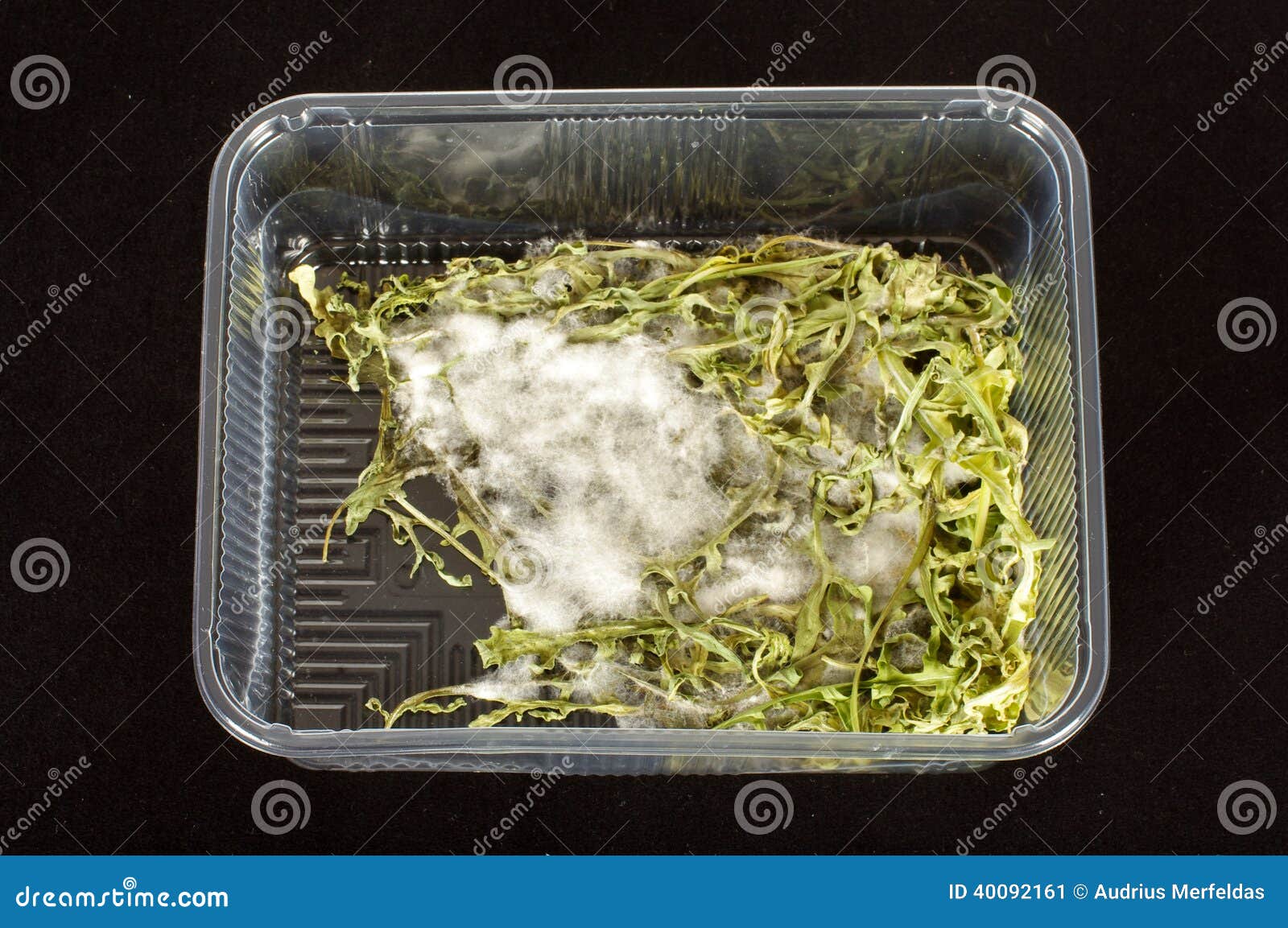 Moldy Product in the Plastic Package Stock Image - Image of groceries ...