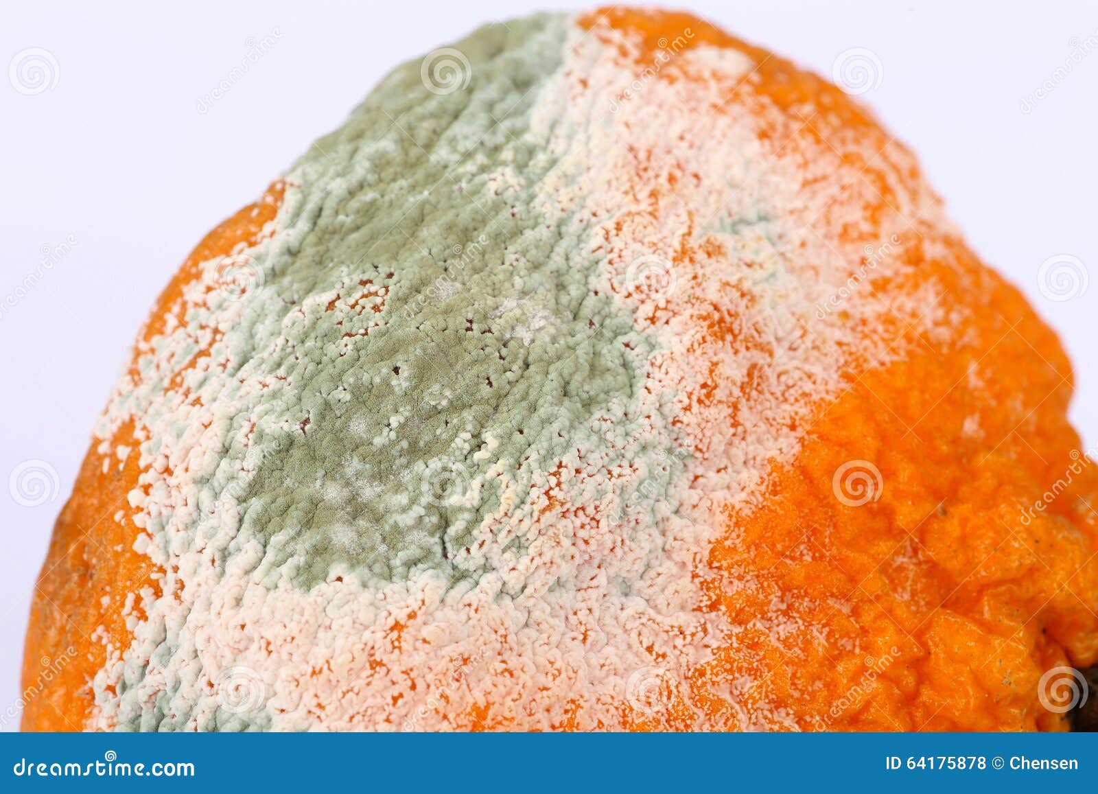 Rotten Orange Fruit Isolated On White Background - Unhealthy Food For ...