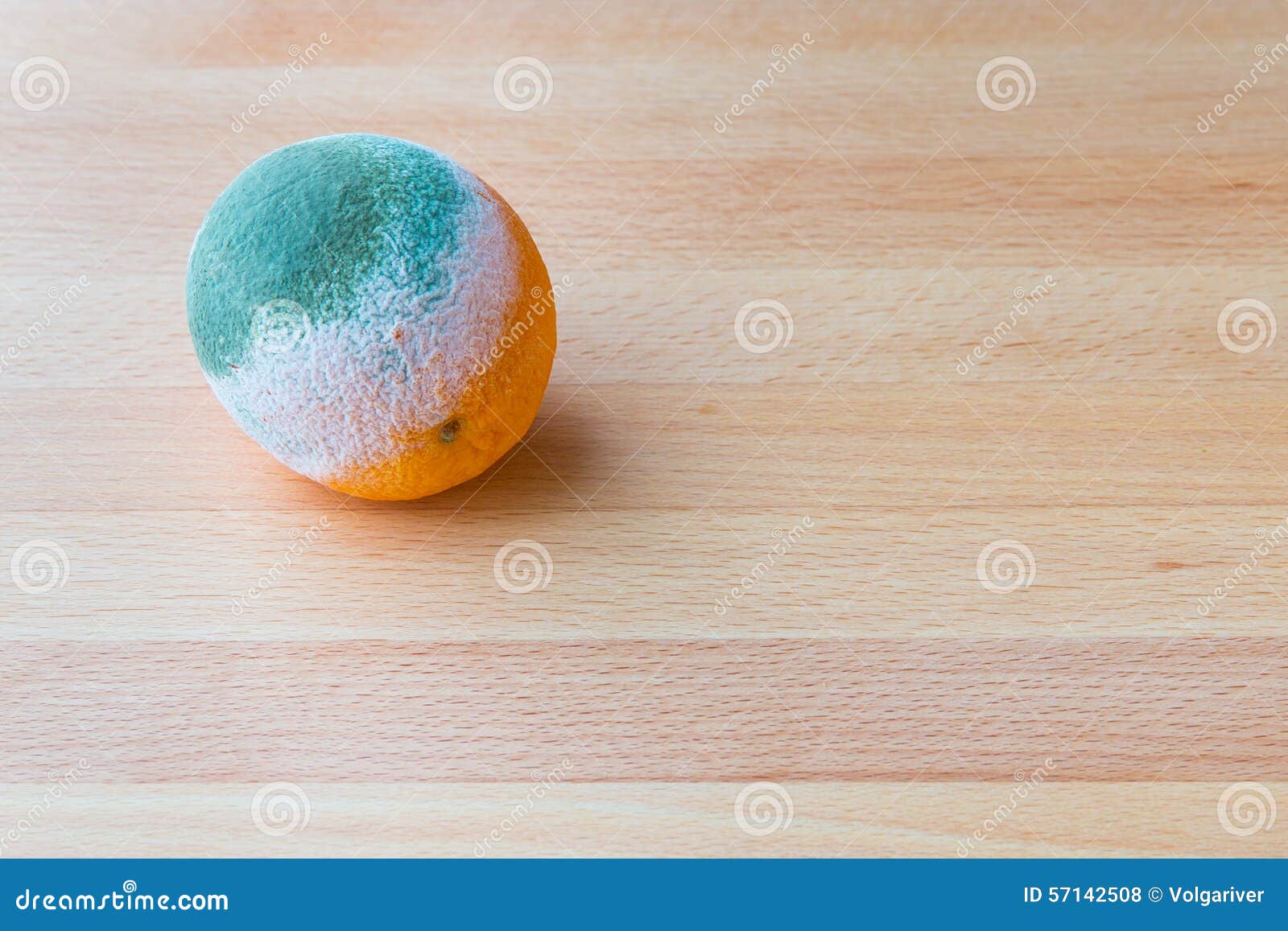 Moldy rotten orange fruit. stock photo. Image of natural - 57142508