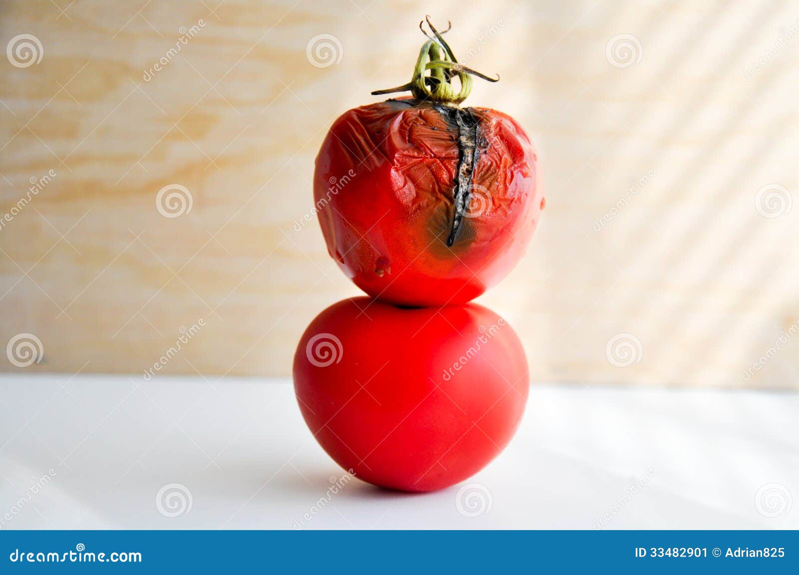 Moldy rotten tomato stock image. Image of body, bodies - 33482901