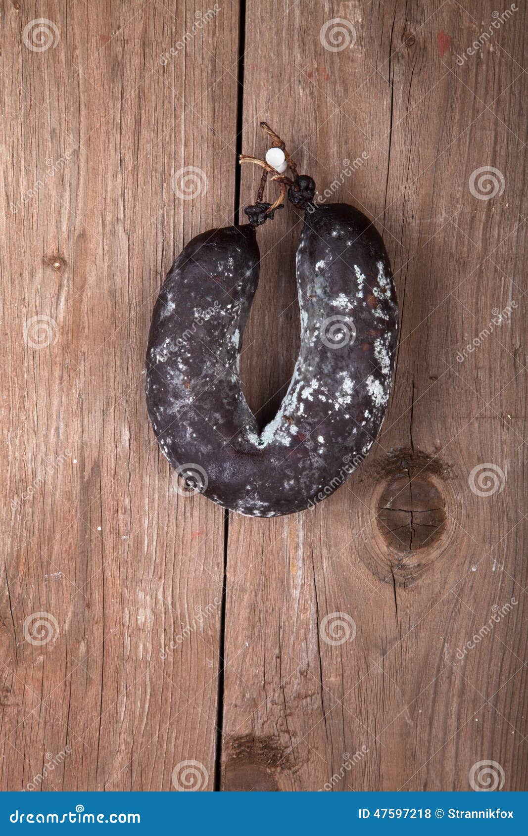 Moldy Salami Hanging on the Wall Stock Photo - Image of fatty ...