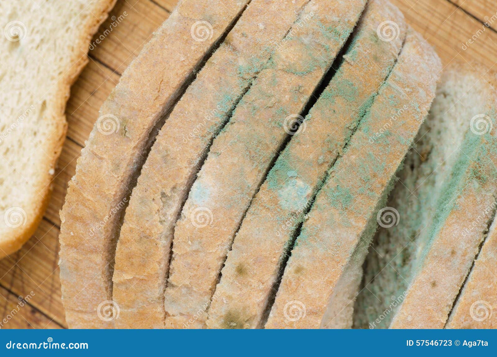 Moldy sliced bread stock image. Image of loaf, food, decay - 57546723
