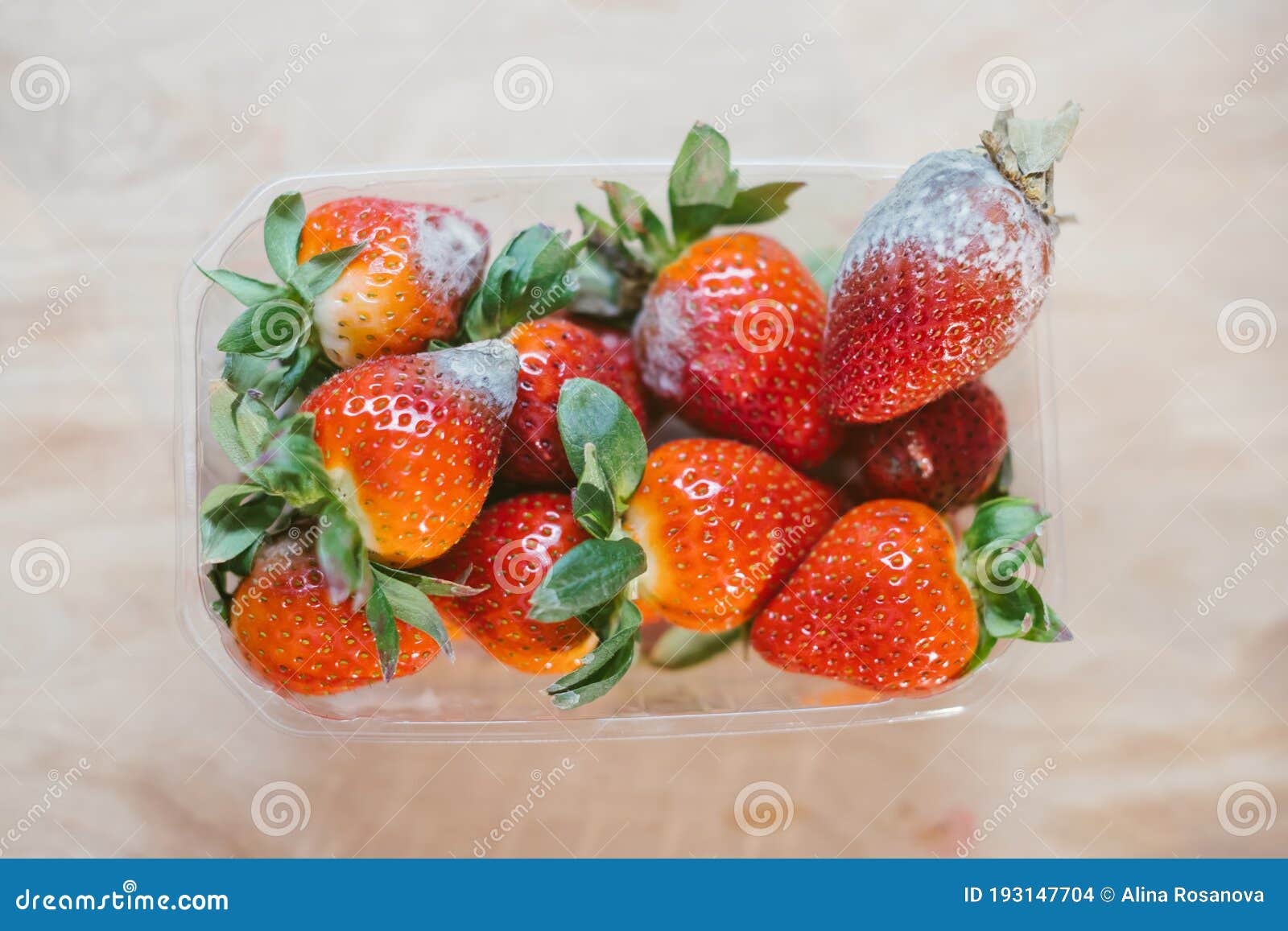 Moldy Strawberries in Small Plastic Box Stock Photo - Image of plastic ...