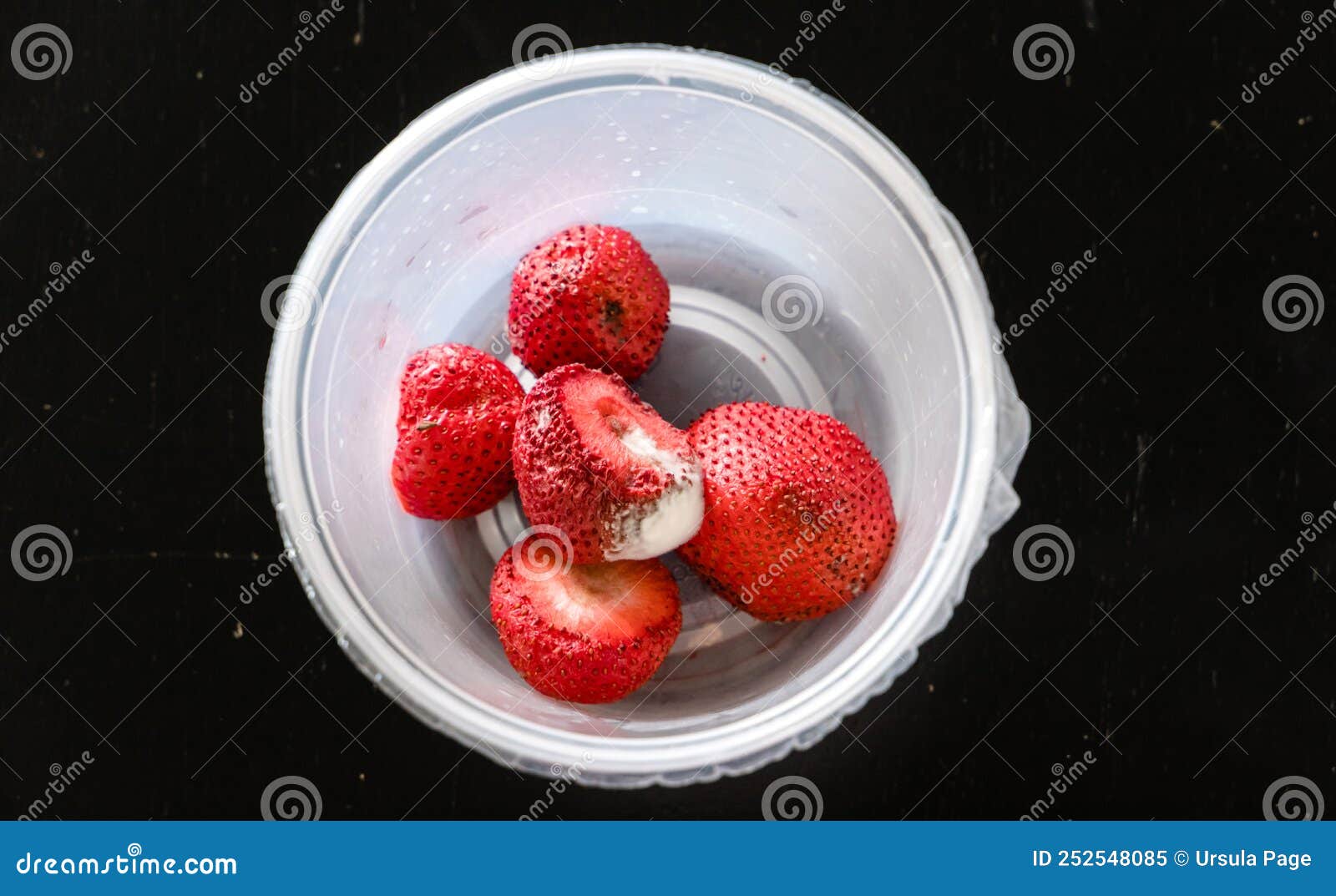 Moldy Strawberries in a Plastic Container Stock Image - Image of ...