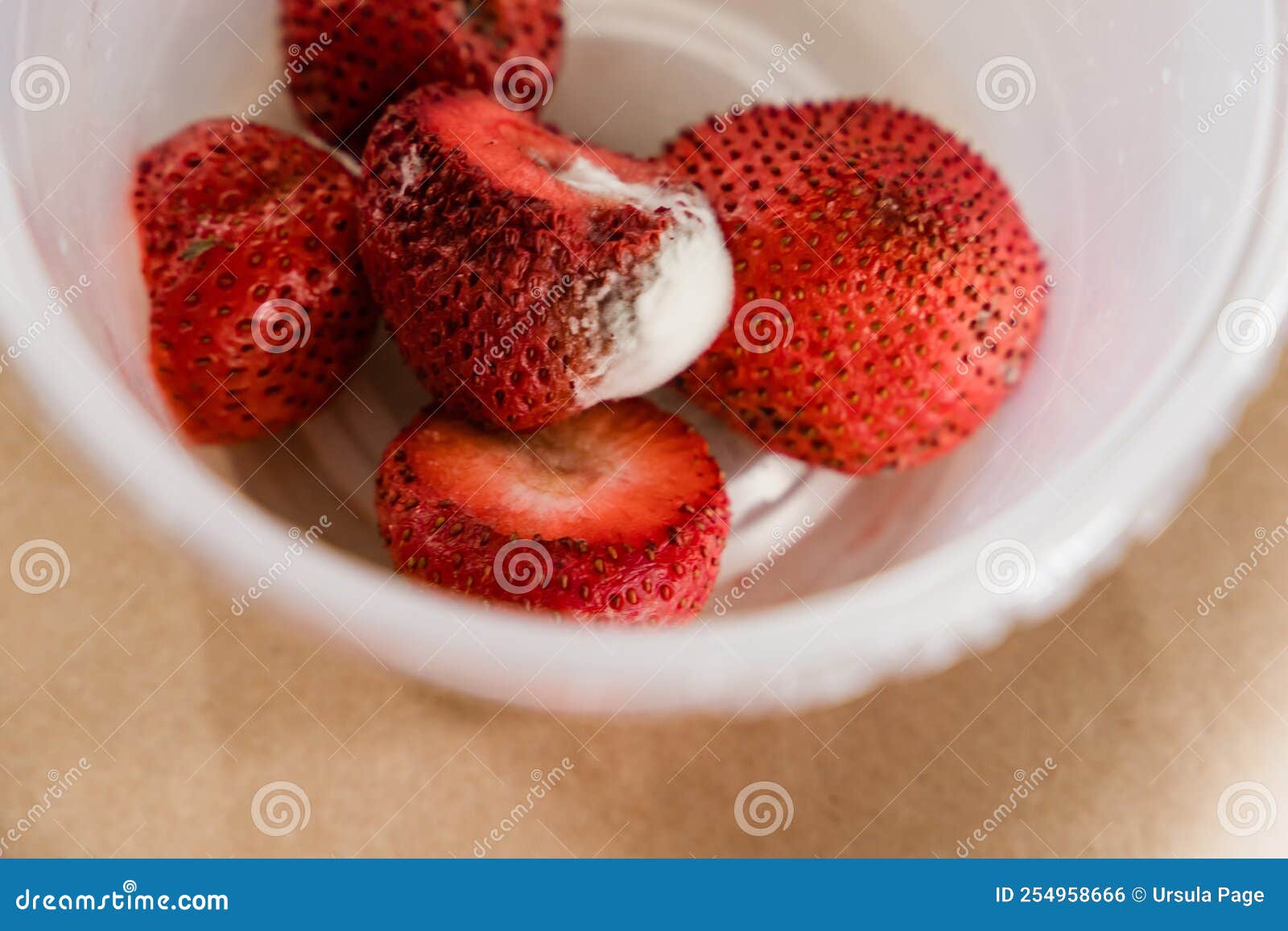 Moldy Strawberries in a Plastic Container Stock Photo - Image of ...