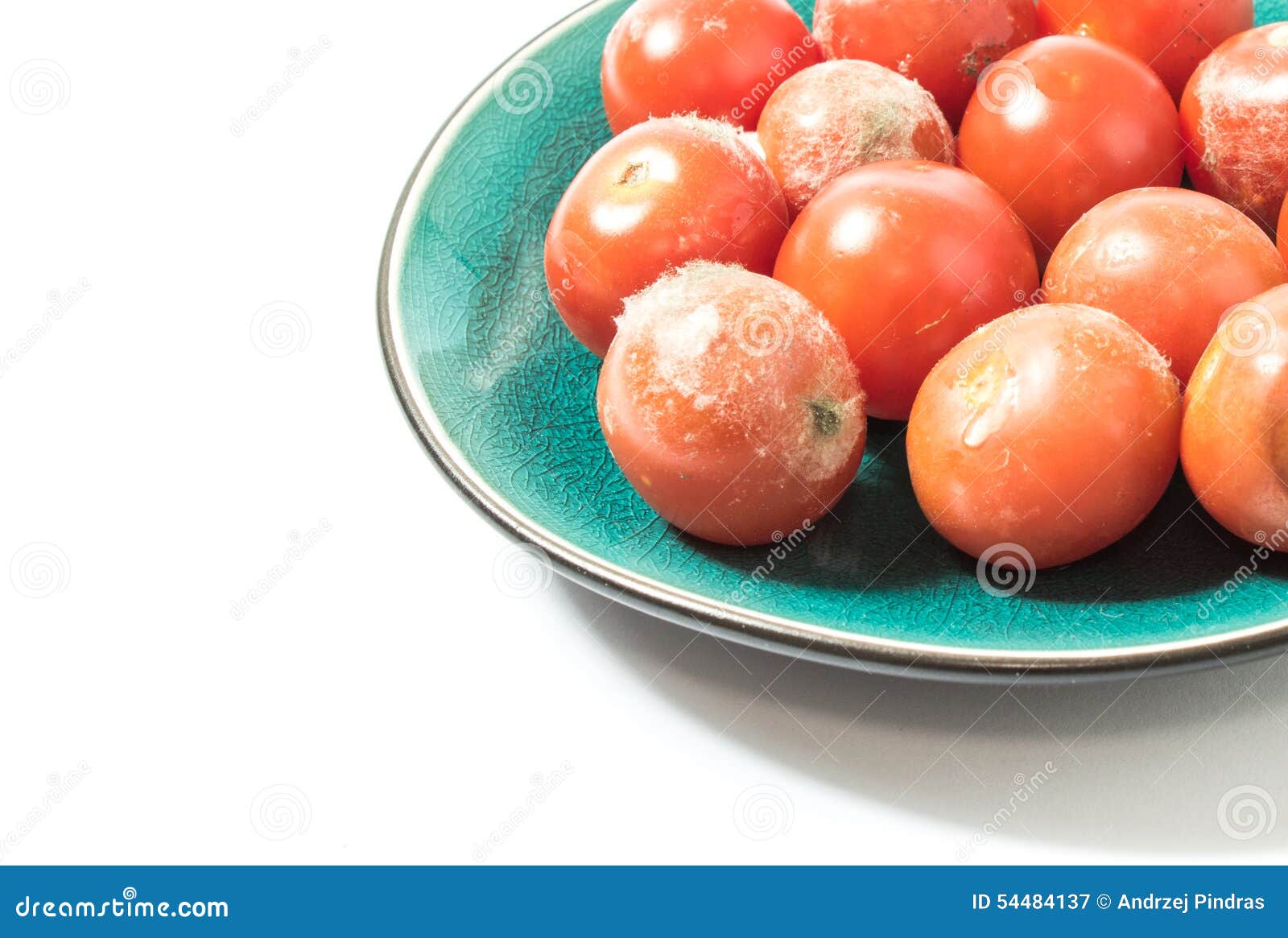 Moldy Tomatoes on a Plate Closeup Stock Image - Image of decompose ...