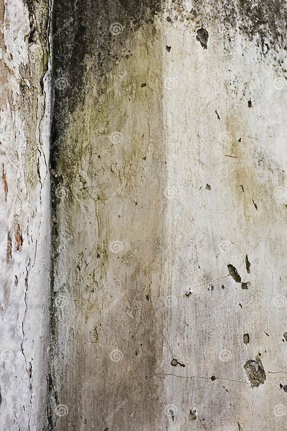 Moldy wall stock photo. Image of backgrounds, backdrop - 12538246