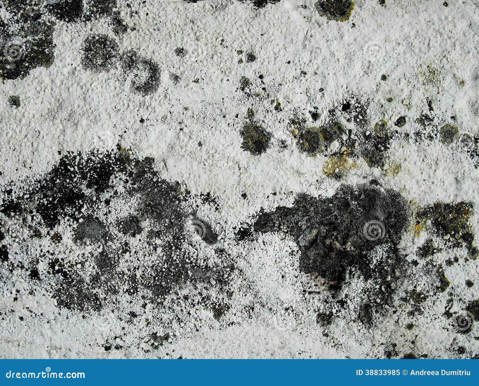 Moldy Wall stock image. Image of aging, brown, cracked - 38833985
