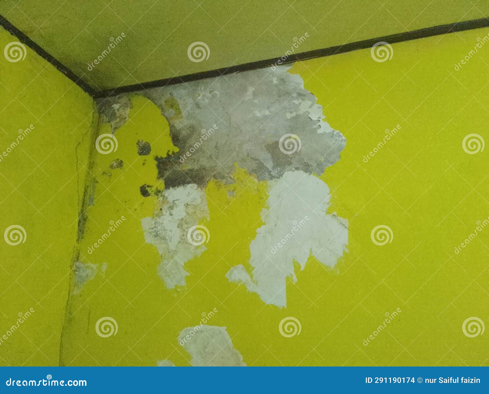 Moldy wall stock photo. Image of moldy, years, wall - 291190174