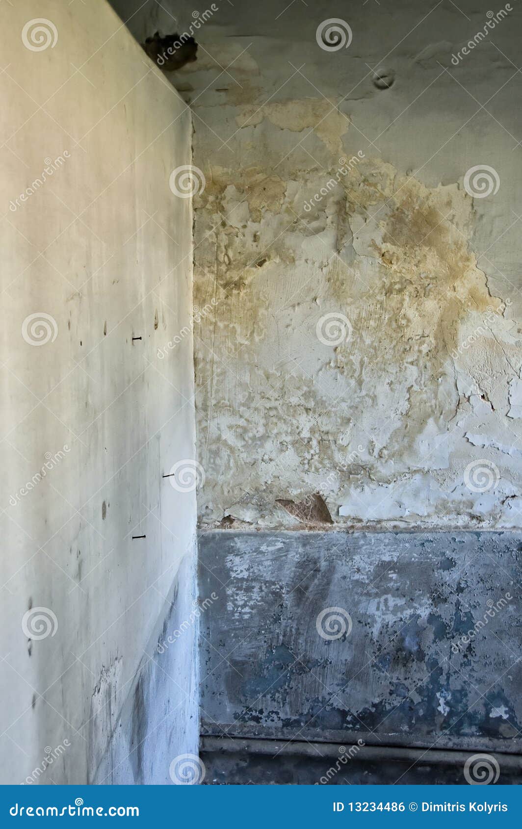 Moldy wall texture stock photo. Image of detail, fungus - 13234486