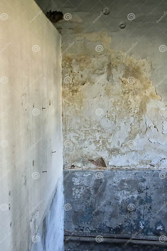Moldy wall texture stock photo. Image of detail, fungus - 13234486