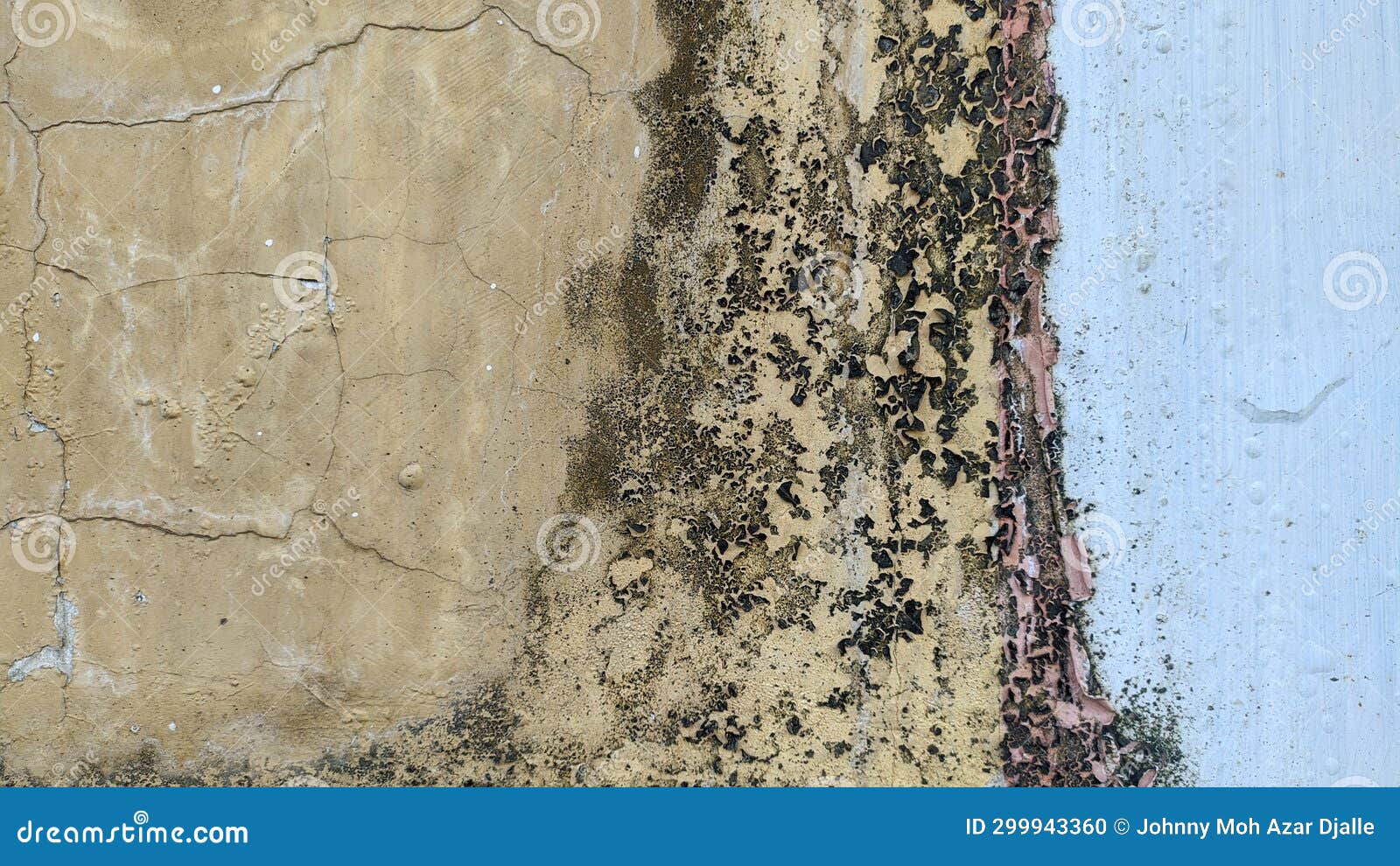 Moldy wall texture surface stock photo. Image of detail - 299943360