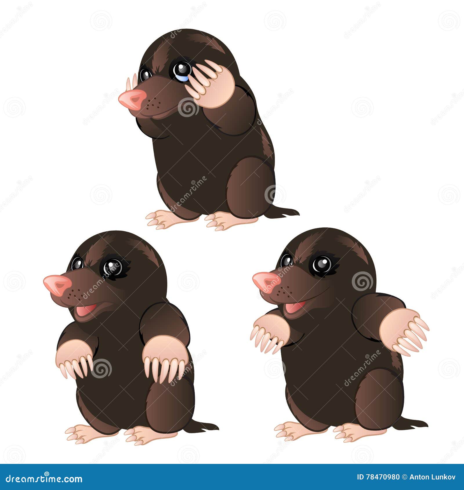 Mole Animal Cartoon