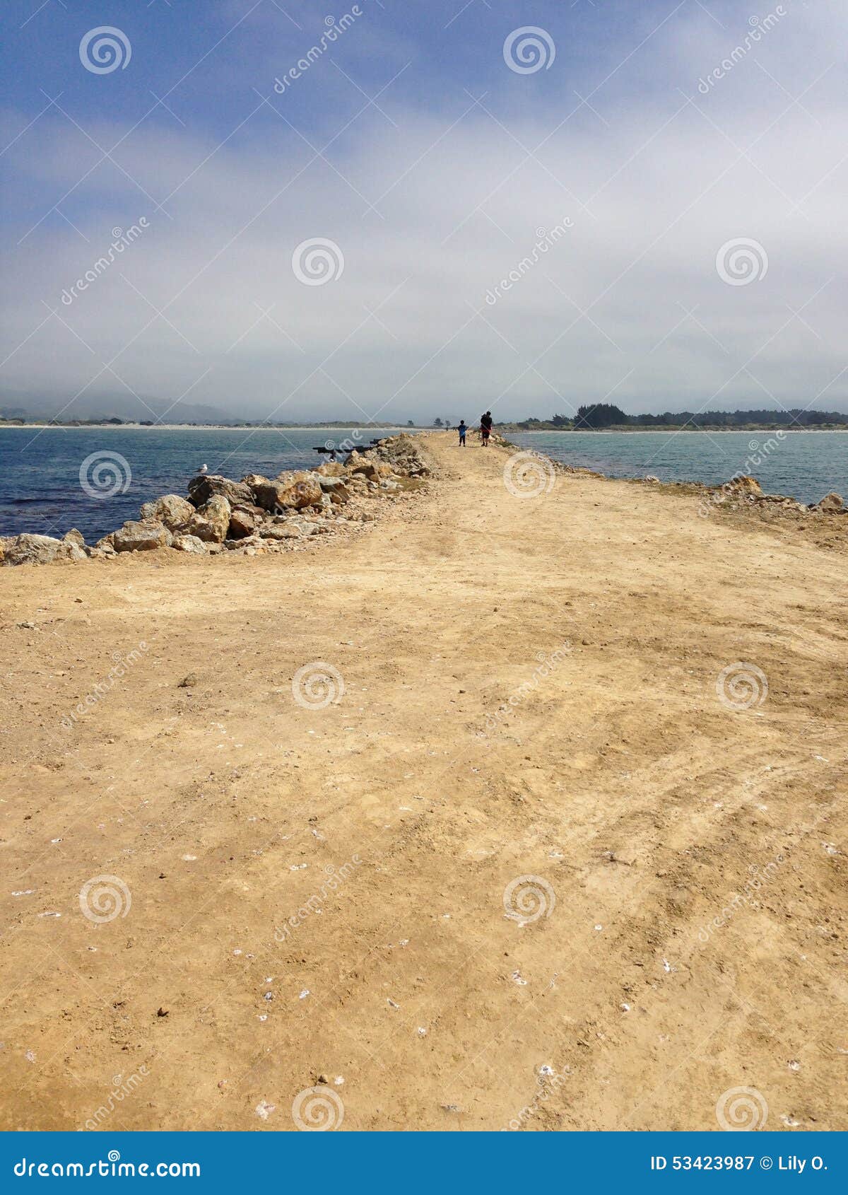 The Mole, Aramoana editorial photography. Image of wreck - 53423987