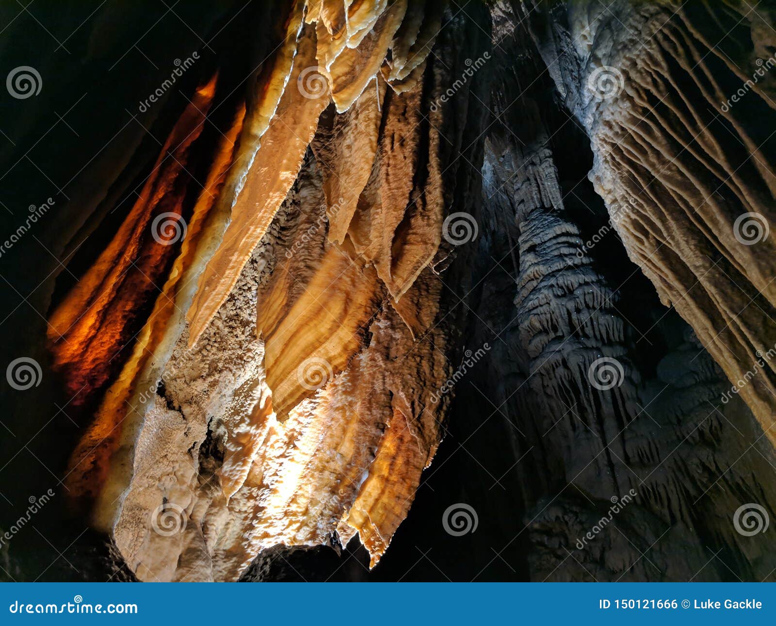 Mole Creek Caves stock photo. Image of creek, mole, nature - 150121666