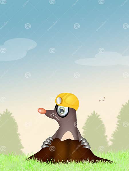 Mole in the den stock illustration. Illustration of animal - 120081679