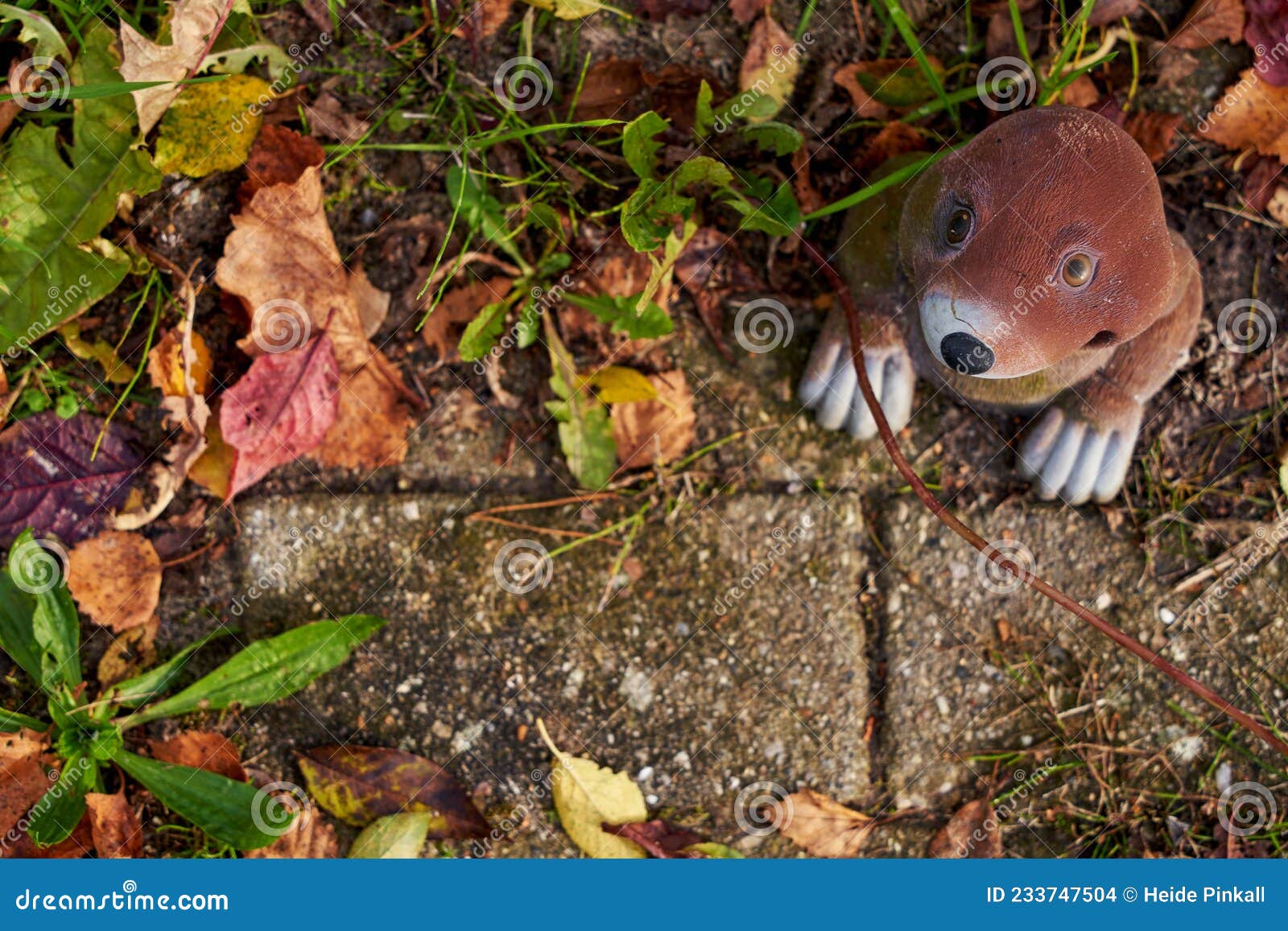 Mole Figure Stands Behind a Path and Looks Upwards Stock Photo - Image ...