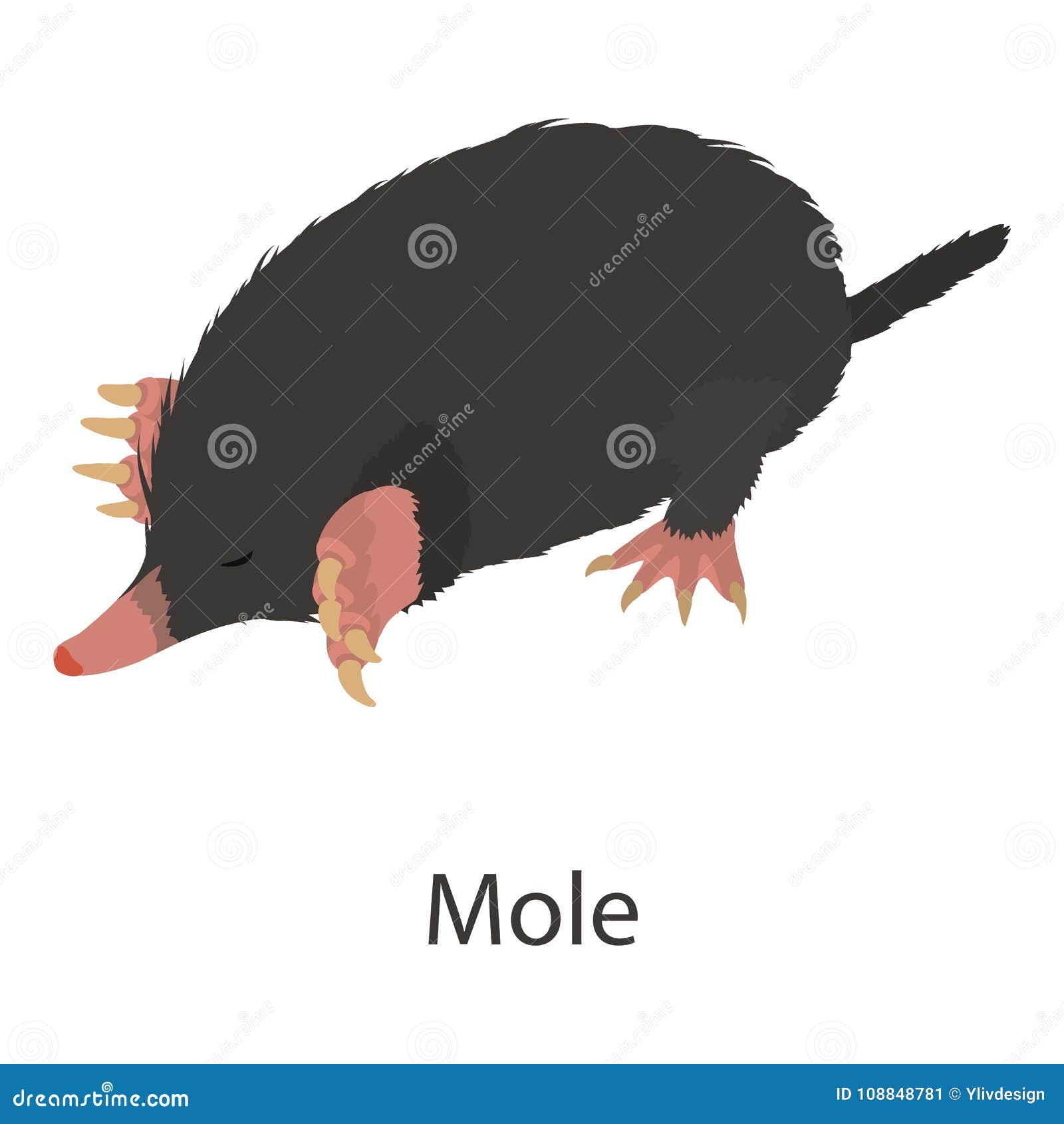 Mole Icon. Trendy Mole Logo Concept On White Background From Animals ...