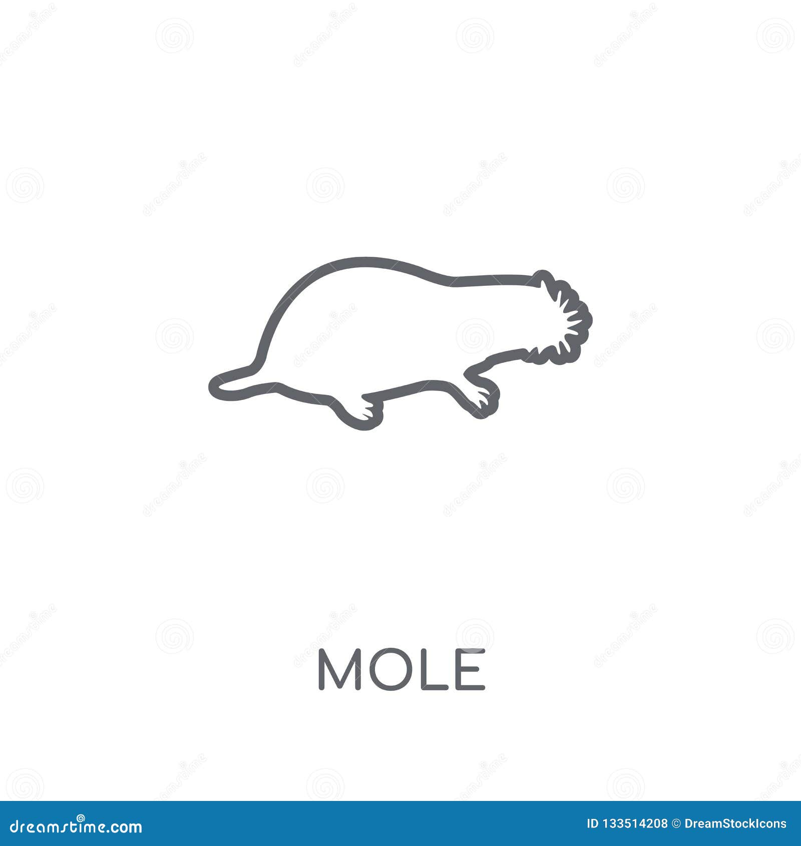Mole Linear Icon. Modern Outline Mole Logo Concept on White Back Stock ...