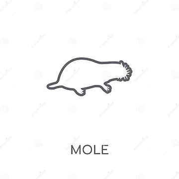 Mole Linear Icon. Modern Outline Mole Logo Concept on White Back Stock ...