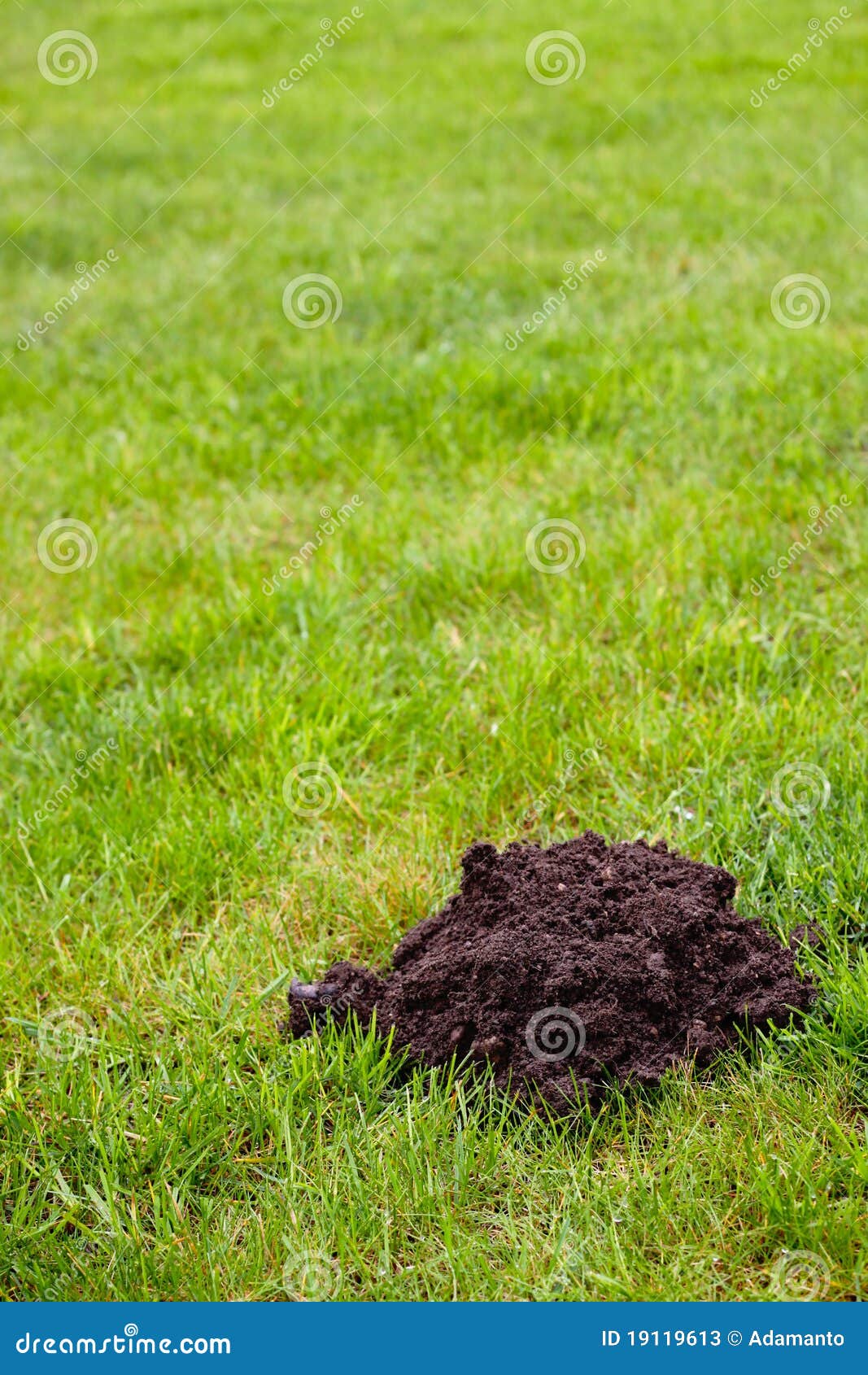 Mole Mound stock image. Image of meadow, molehill, burrow - 19119613