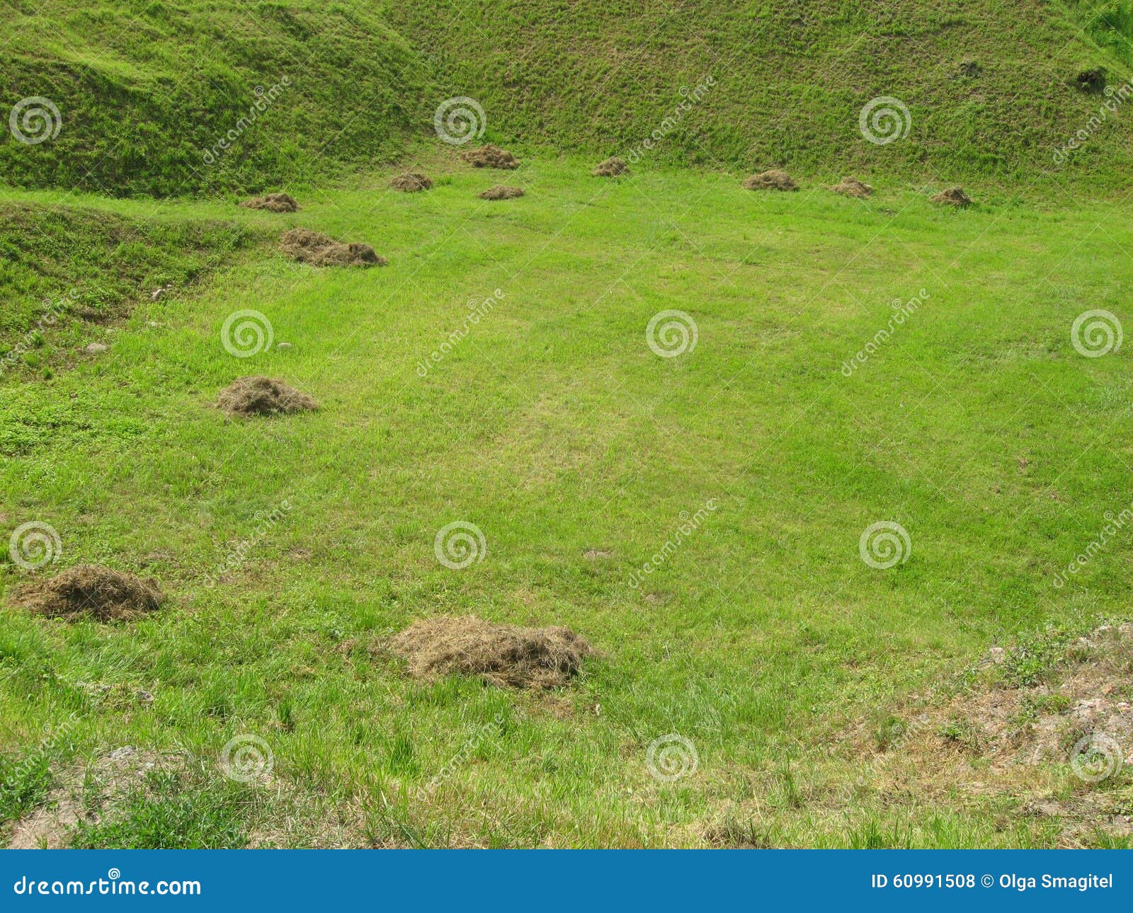 Mole mound in the field stock photo. Image of lawn, heap - 60991508