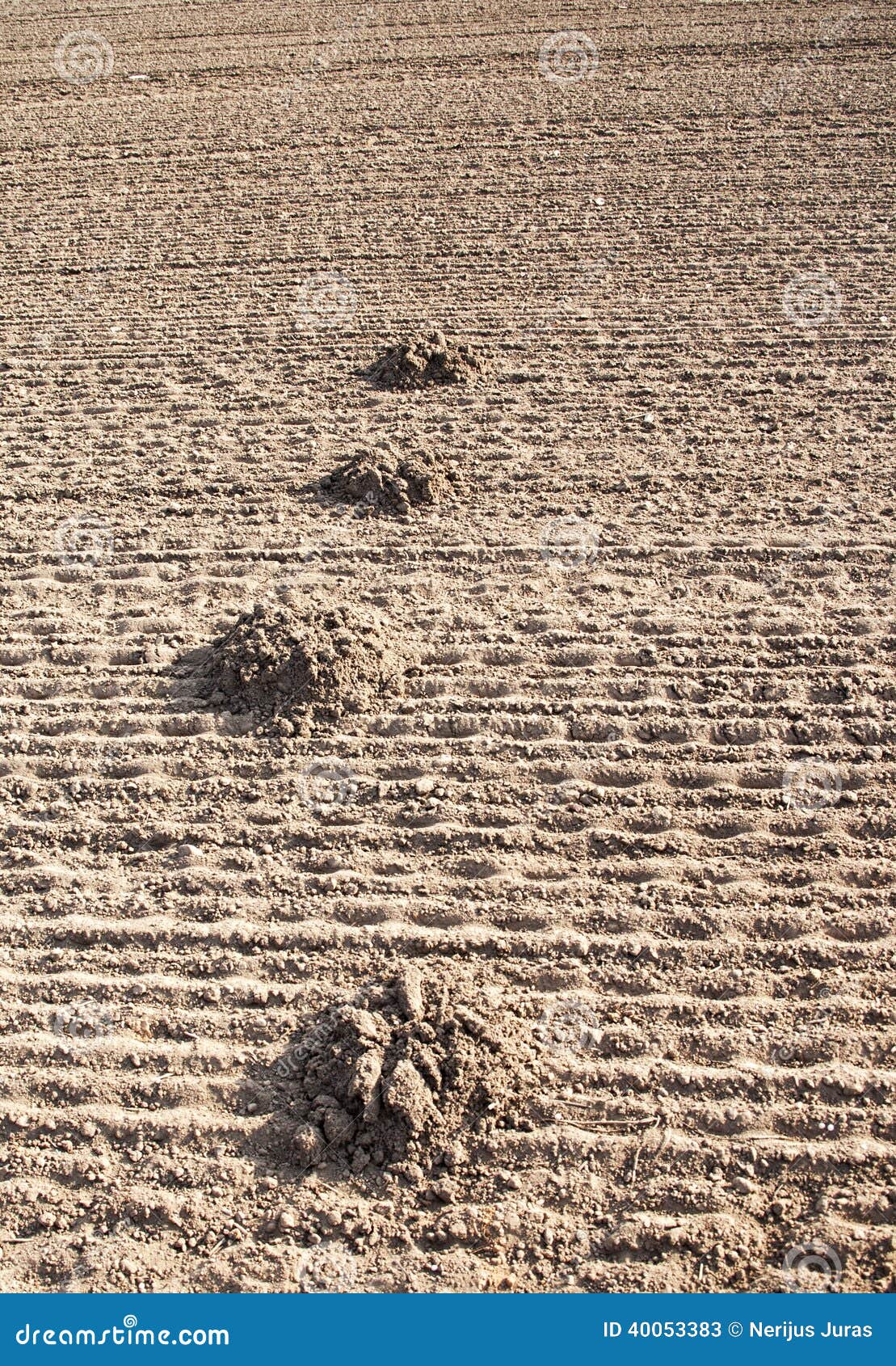 Mole mound stock image. Image of humus, mole, garden - 40053383