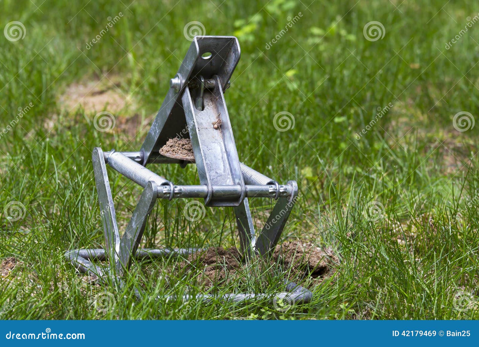 Mole Trap Is A Trap For Catching A Mole In A Hole In The Ground. Harm ...