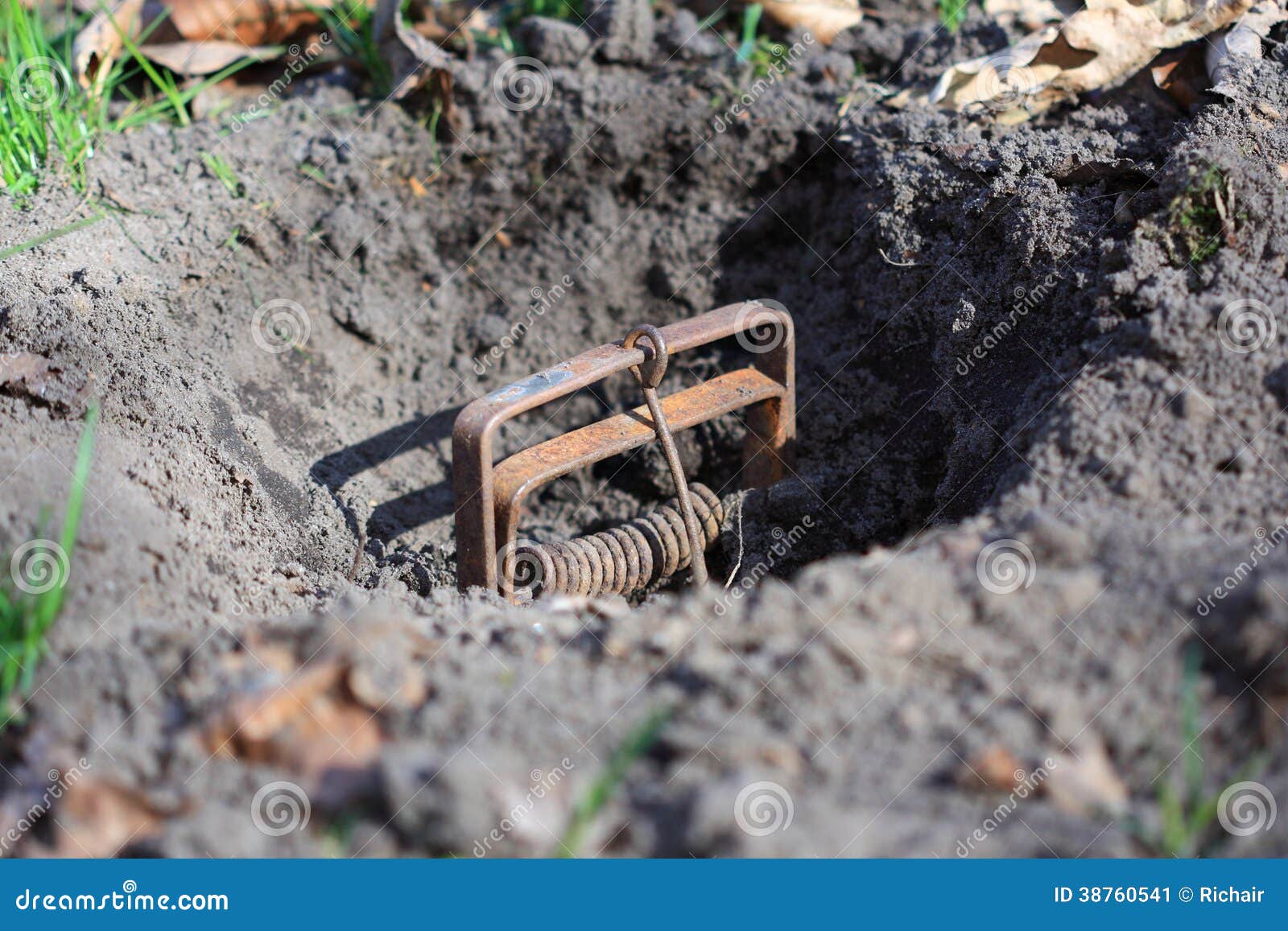 Mole trap stock image. Image of iron, moles, traps, earth - 38760541