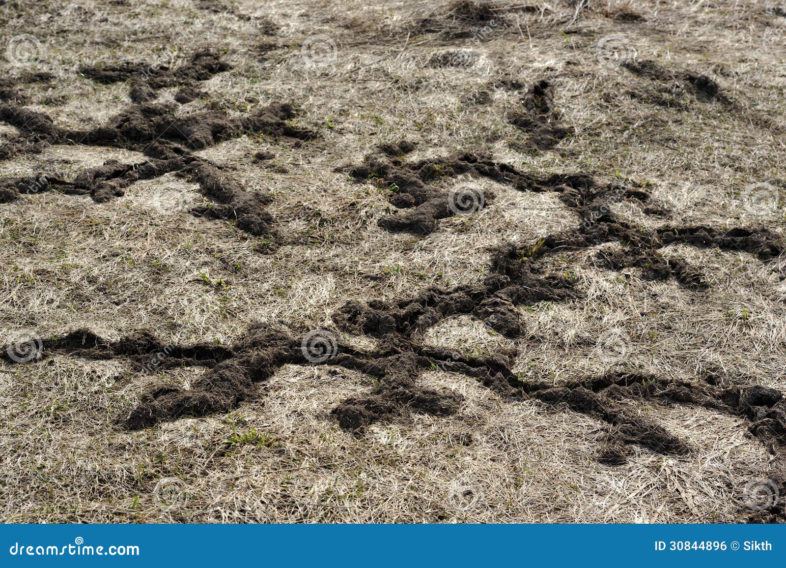 Mole-Tunnels aus den Grund stockfoto. Bild von spur, trocken - 30844896