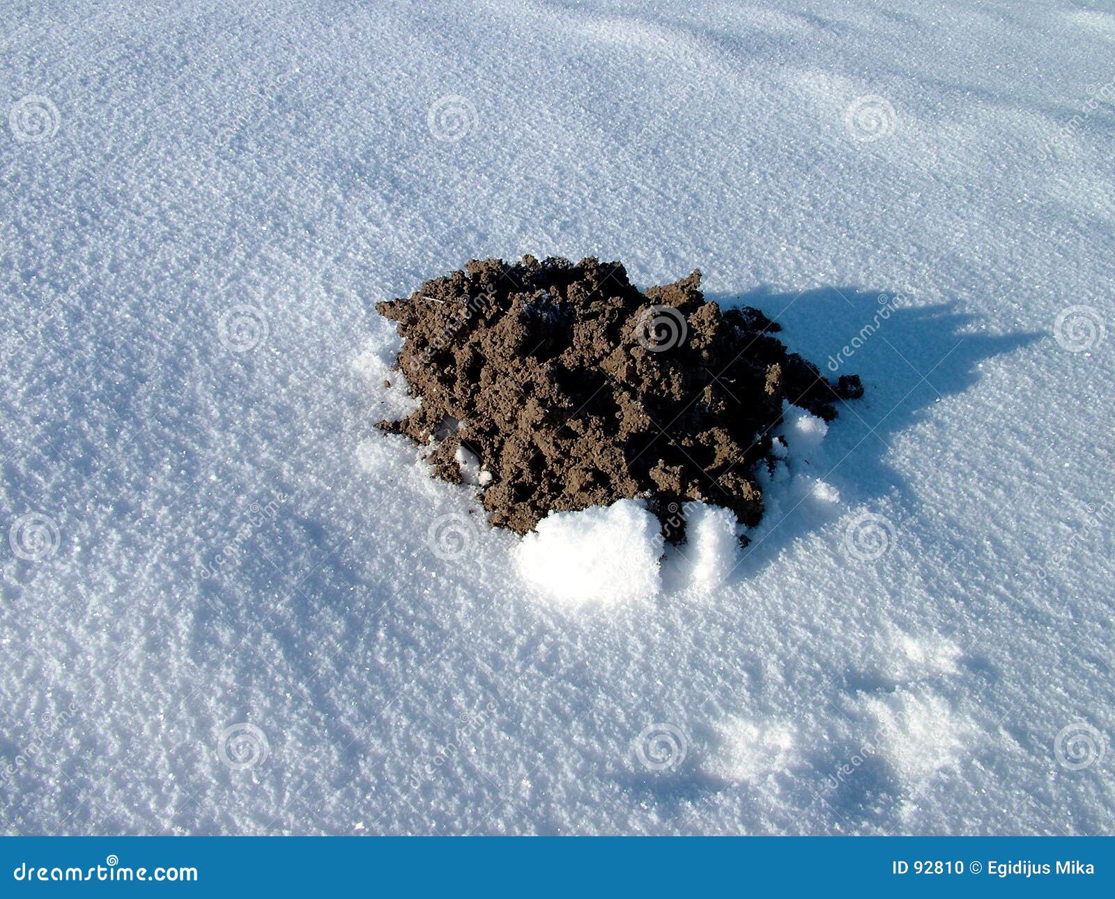 Mole winter work stock photo. Image of drag, flake, scenics - 92810