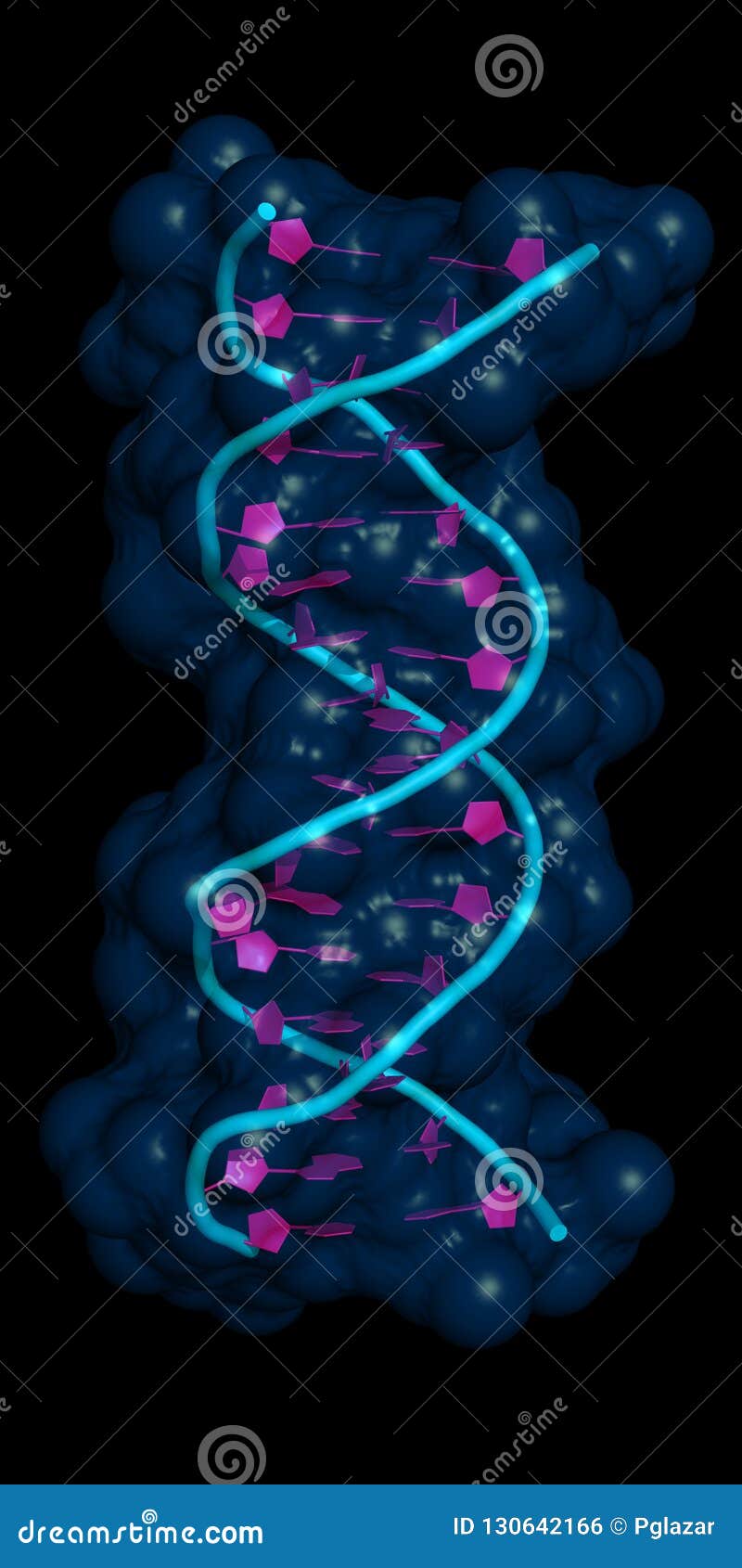 Molecola Del DNA, Modello Del Fumetto Illustrazione di Stock ...