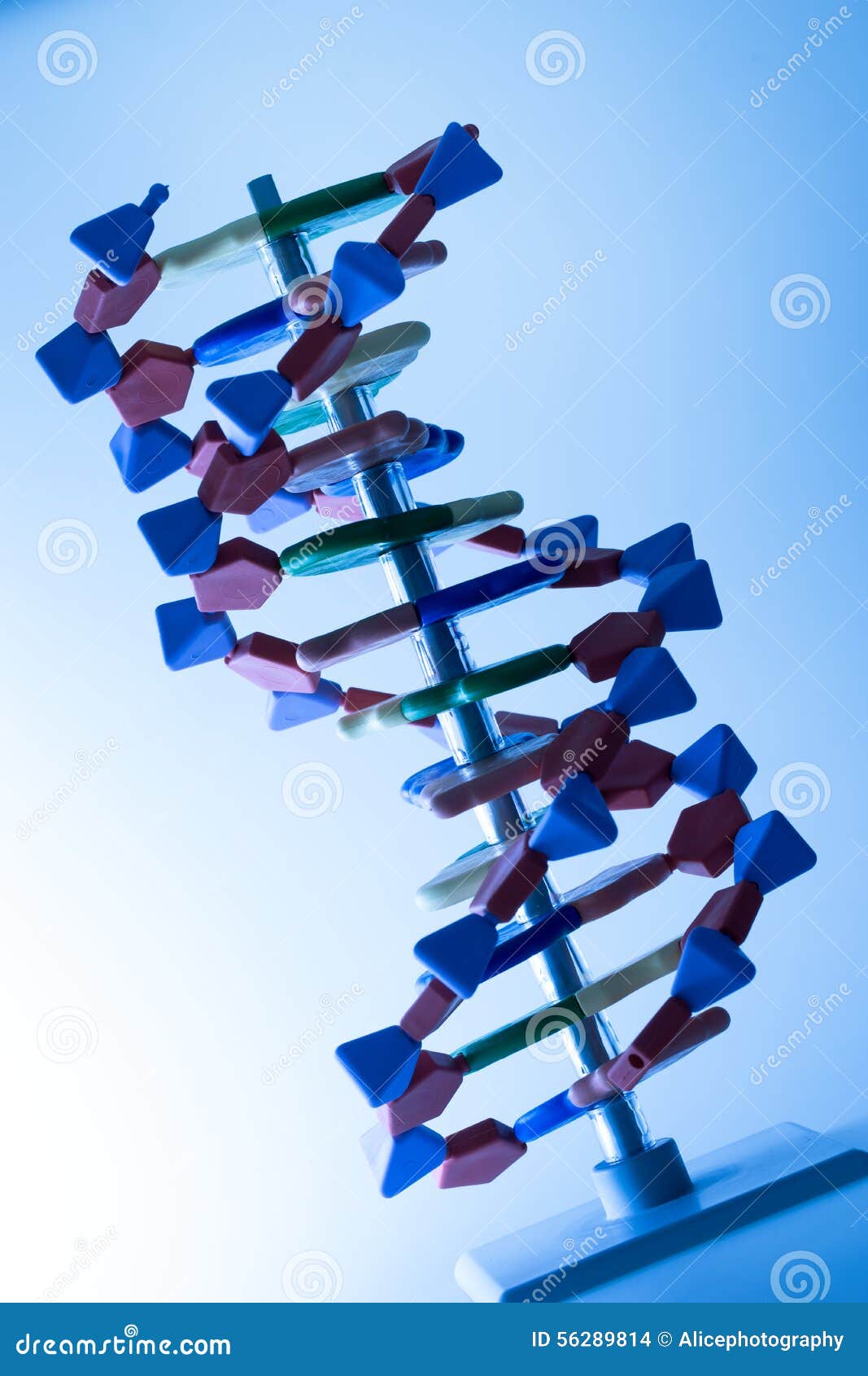 Molecolare, DNA E Modello Atomico Nel Laboratorio Di Ricerca Di Scienza ...