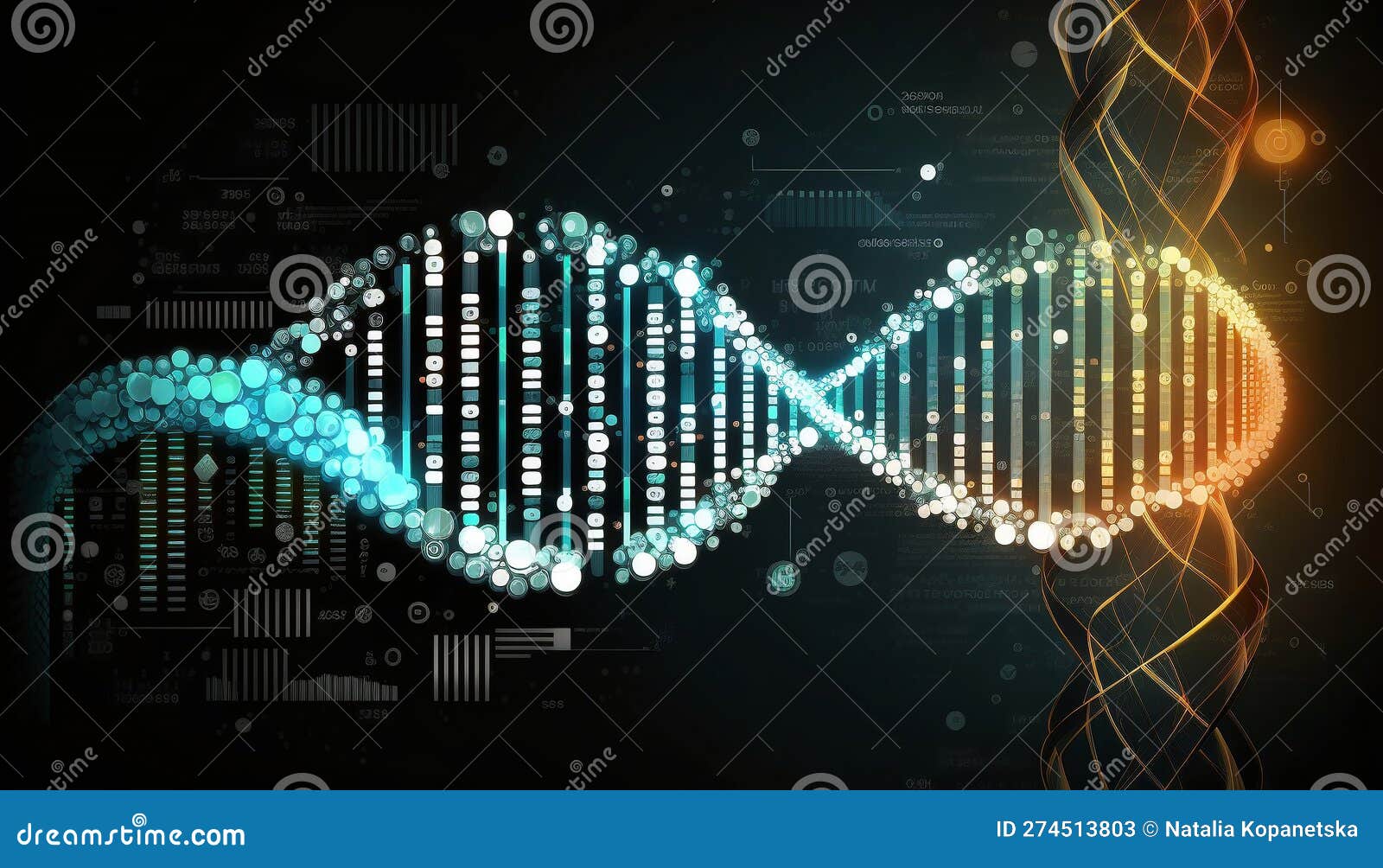 A Molecula Dna Structure On A Dark Background. Royalty-Free Stock Photo ...