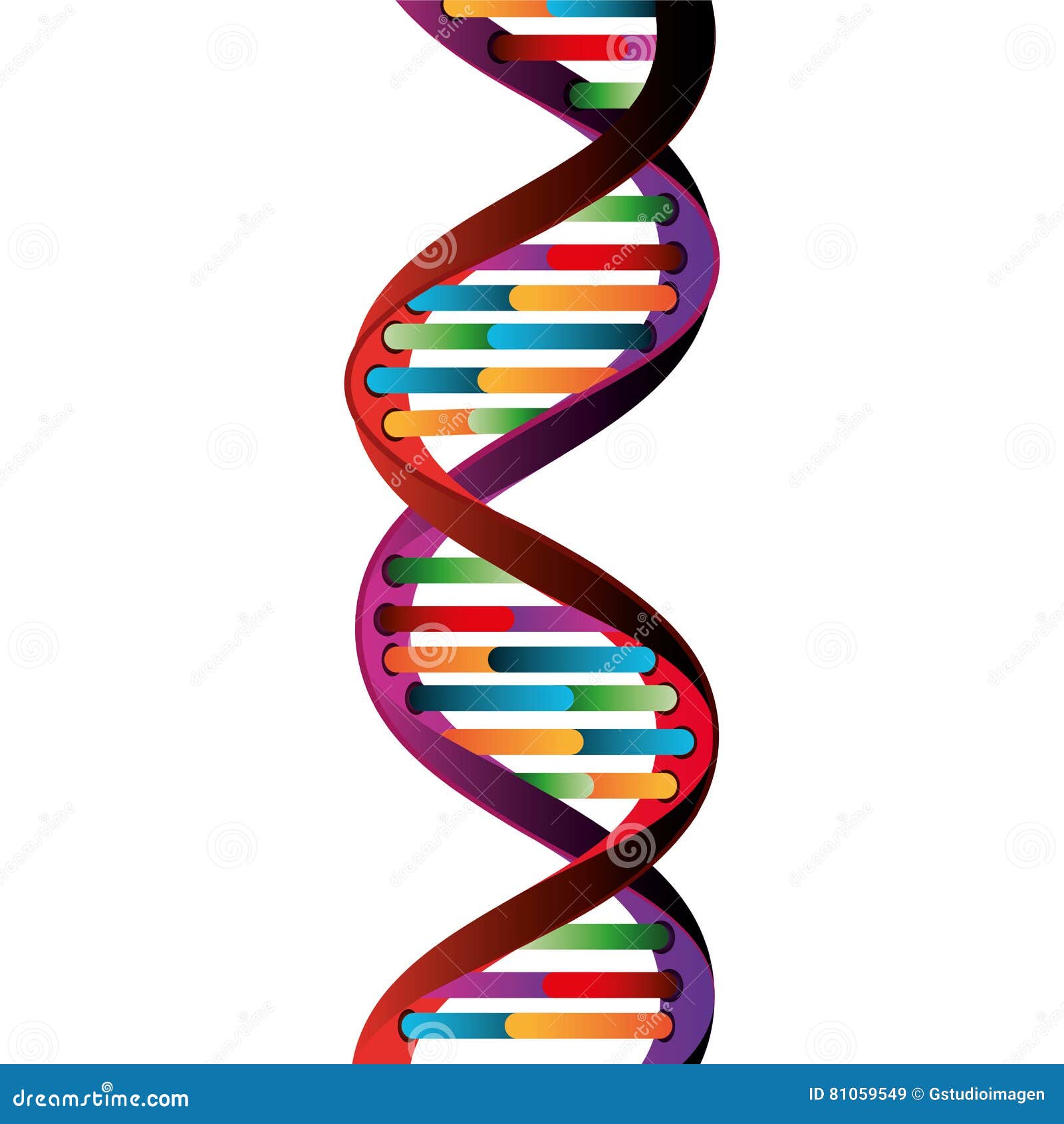 Moleculaire Structuur Van DNA Vector Illustratie - Illustration of ...
