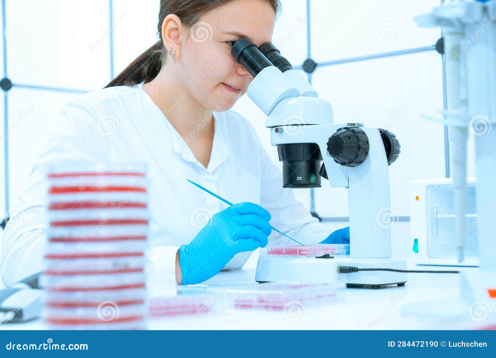 Molecular Biology Investigation: Microscopy Allows Visualizing Molecul ...