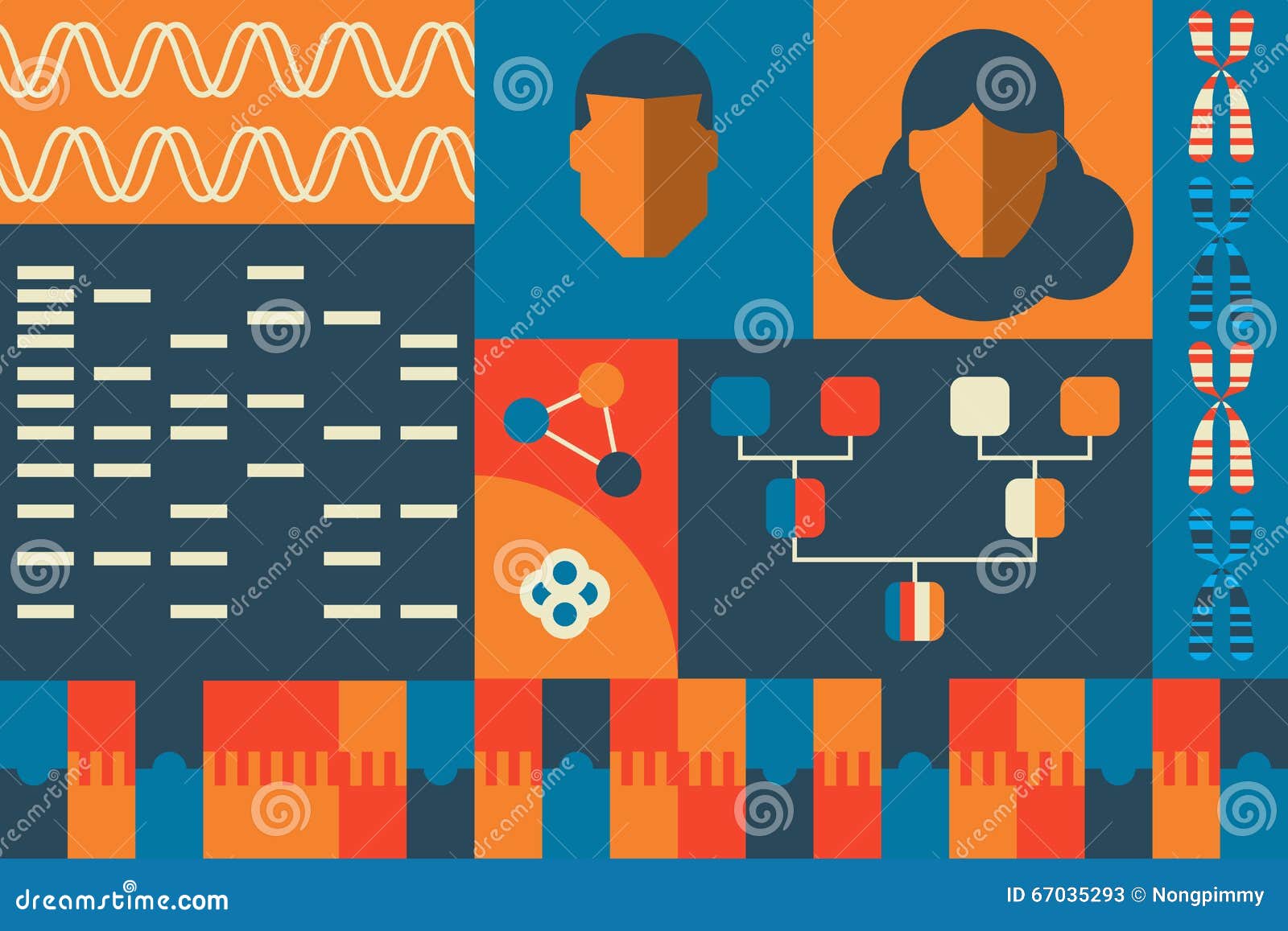 Biology Diagrams On Interactive Whiteboard, Flat Design, Top View ...