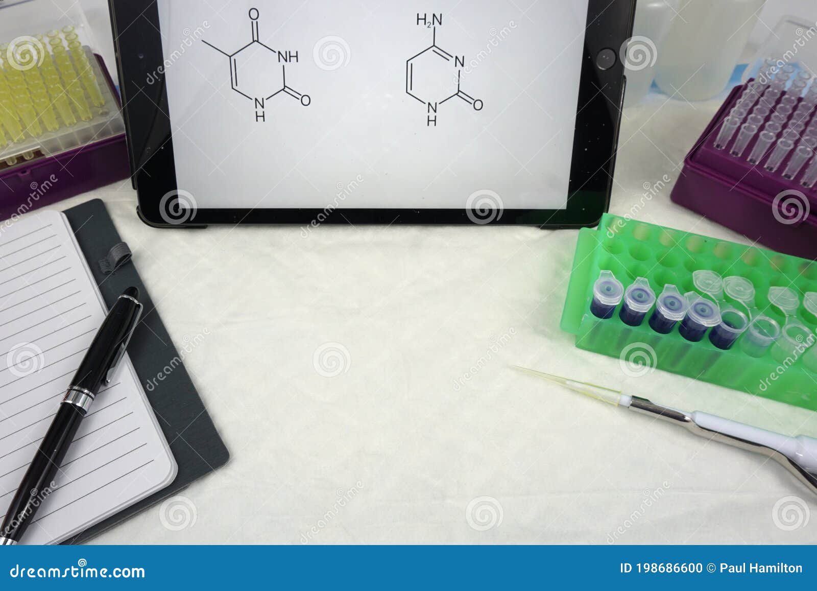 Molecular Biology Laboratory Research Background Stock Photo - Image of ...