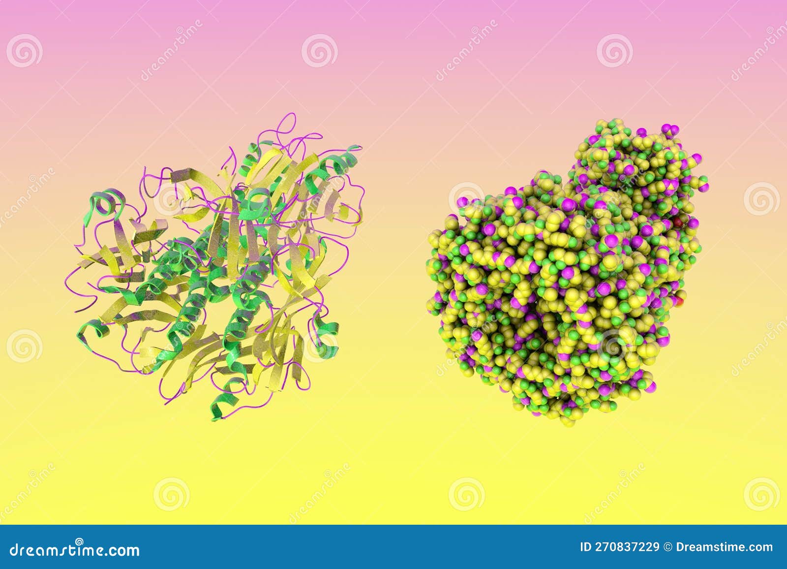 Molecular And Crystal Structure Of Typhoid Toxin Produced By Bacterium ...