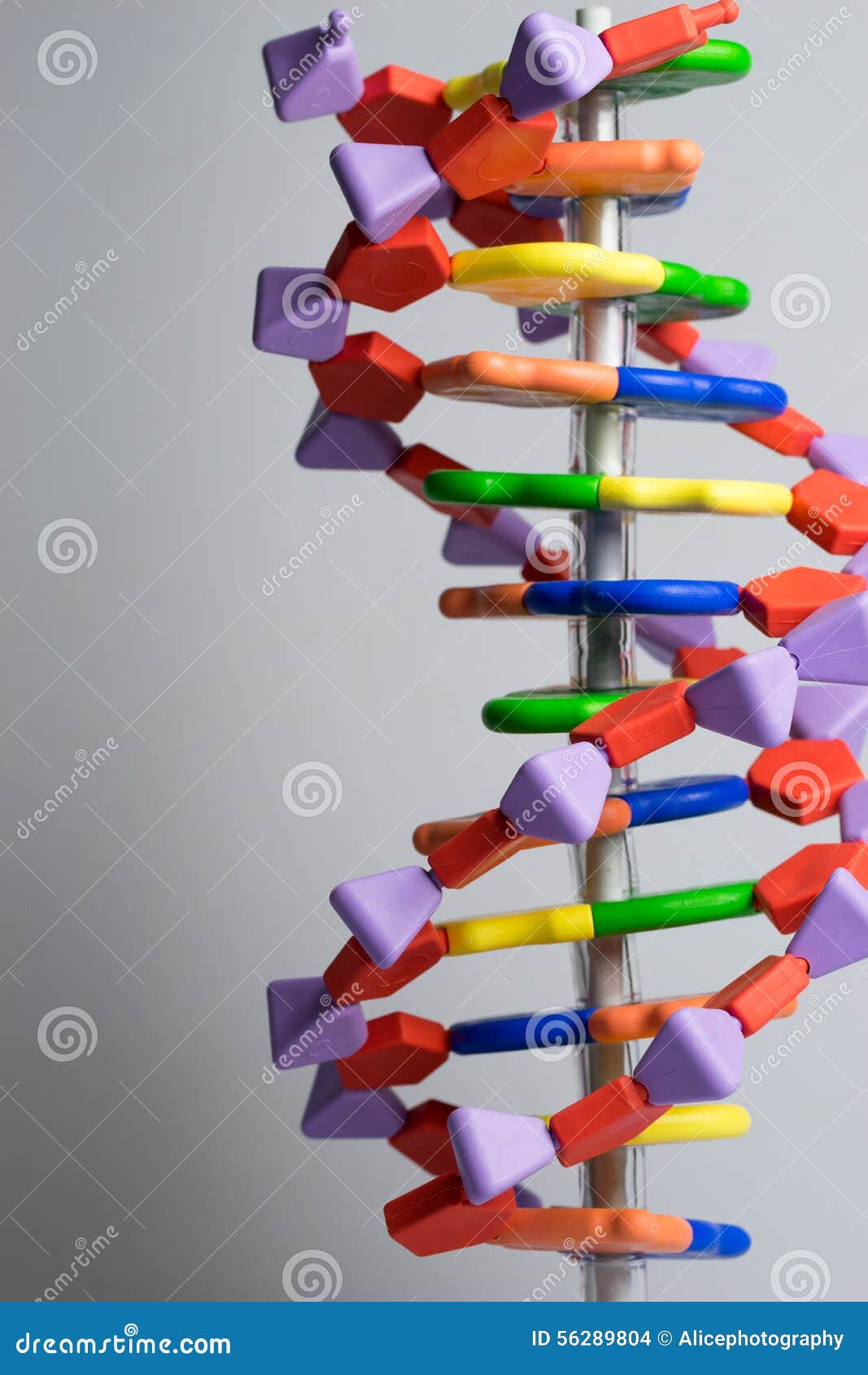 Molecular, DNA and Atom Model in Science Research Lab Stock Photo ...