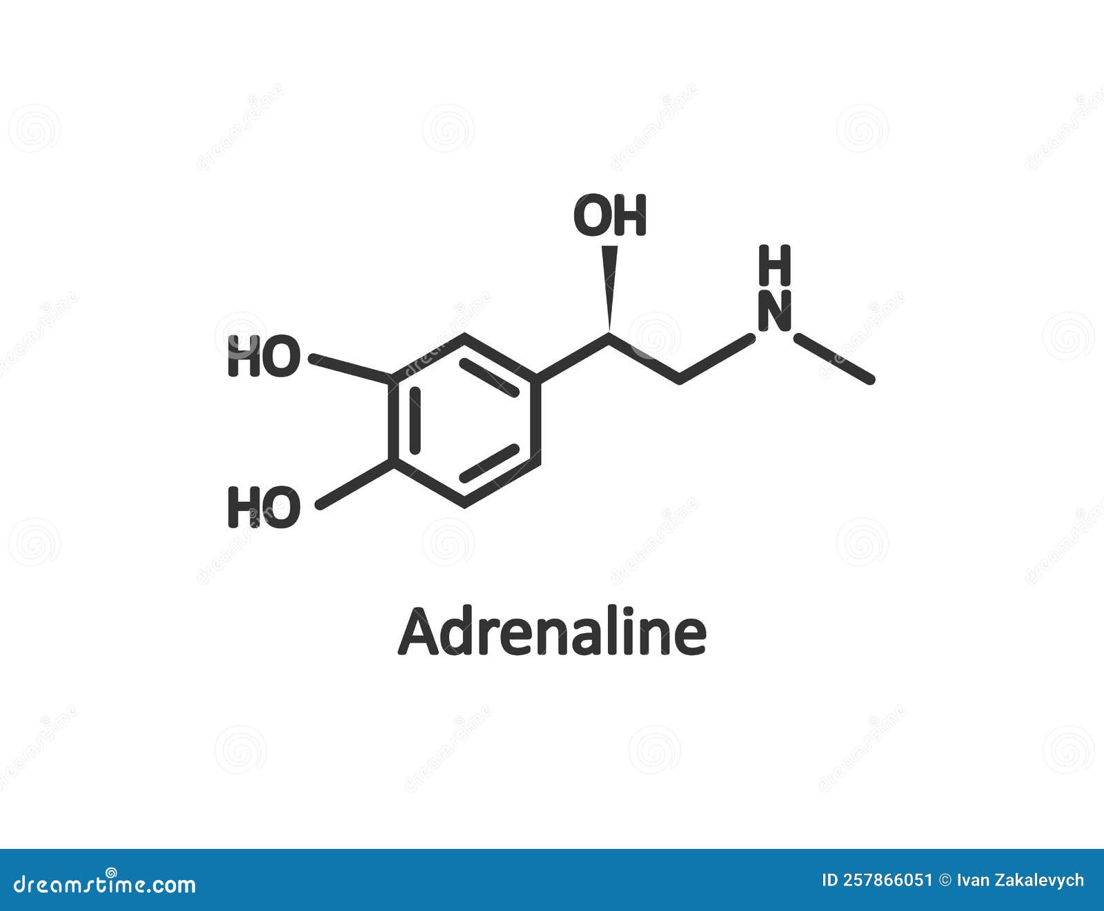 Molecular Formula Of Adrenaline Icon. Structure Of Molecule Epinephrine ...