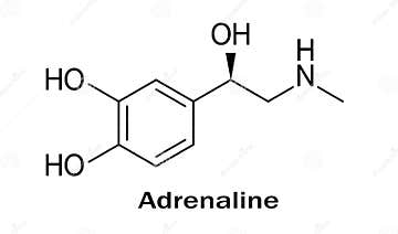 Molecular Formula of Adrenaline, Structure of Molecule Stock Vector ...