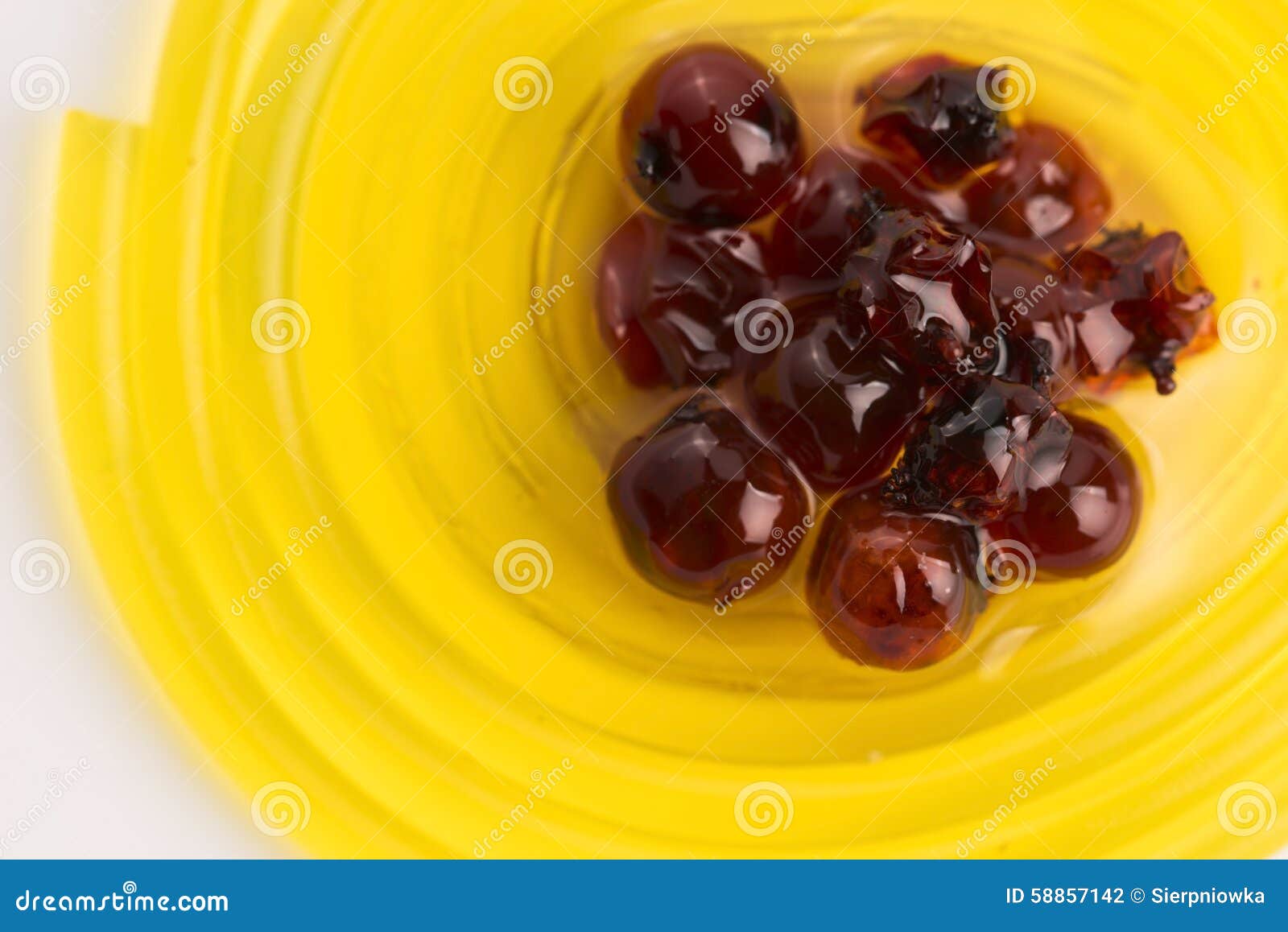 Molecular fruit spaghetti stock photo. Image of spaghetti - 58857142