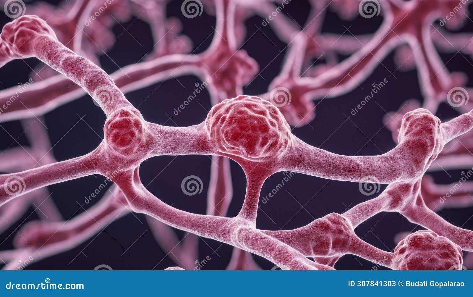Molecular Marvels: Dynamic 3D Model Of Biomolecules - Revealing The ...