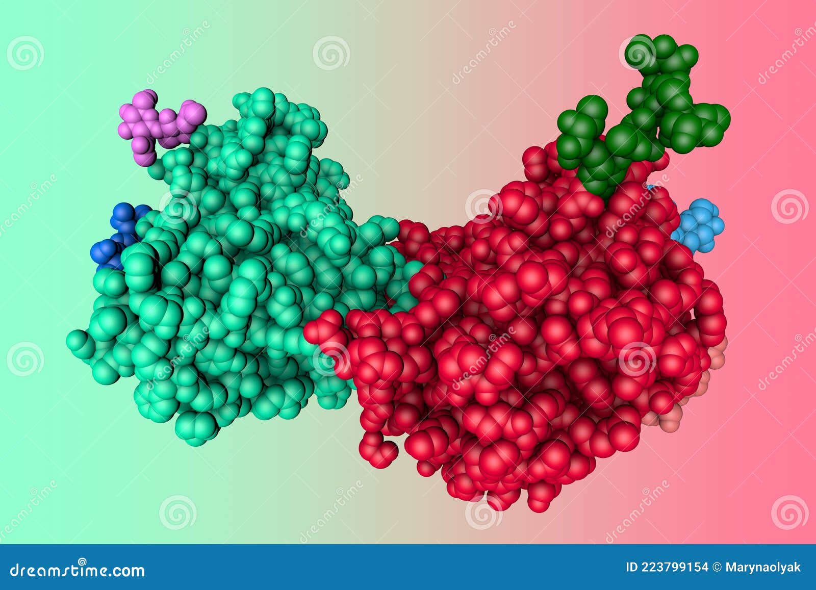 Molecular Model of Alpha-galactosidase, Enzyme that Associated with ...
