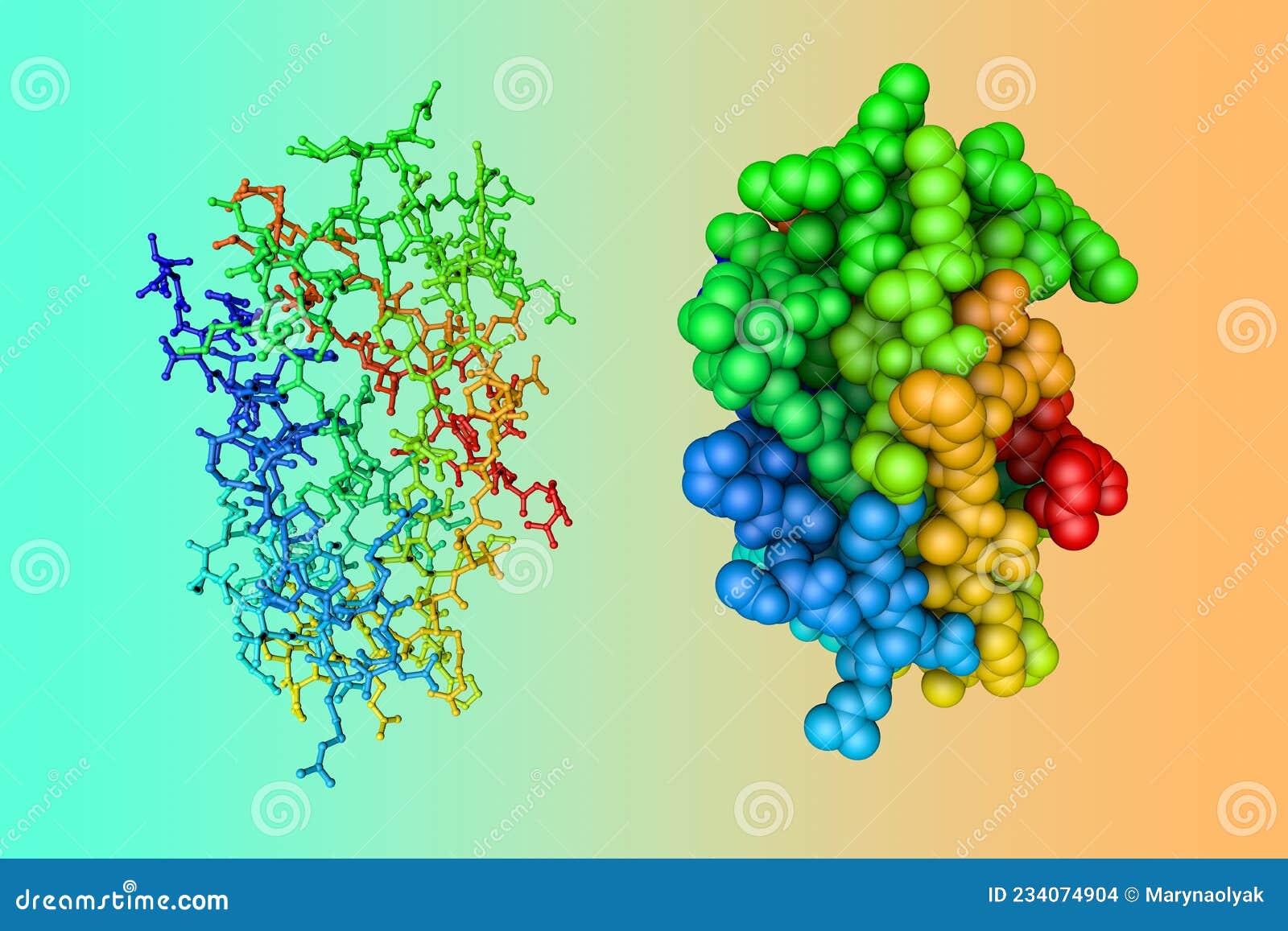 Molecular Model of Angiogenin, a Potent Stimulator of New Blood Vessels ...