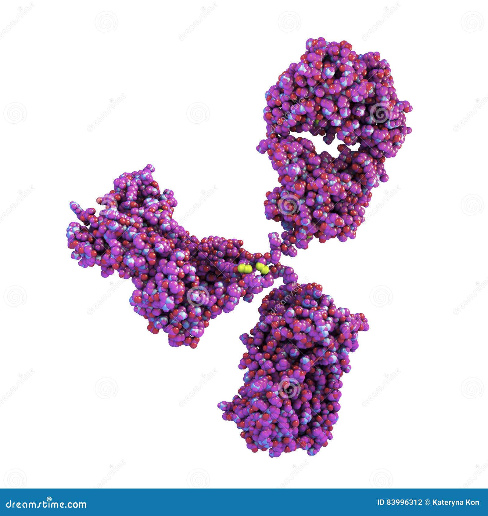 Molecular Model of Antibody Stock Illustration - Illustration of ...