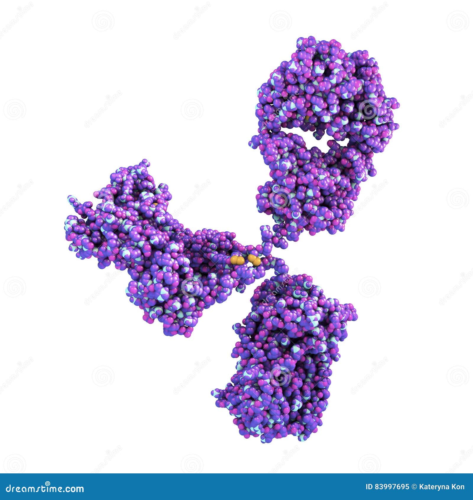 Molecular Model of Antibody Stock Illustration - Illustration of chemical, background: 83997695