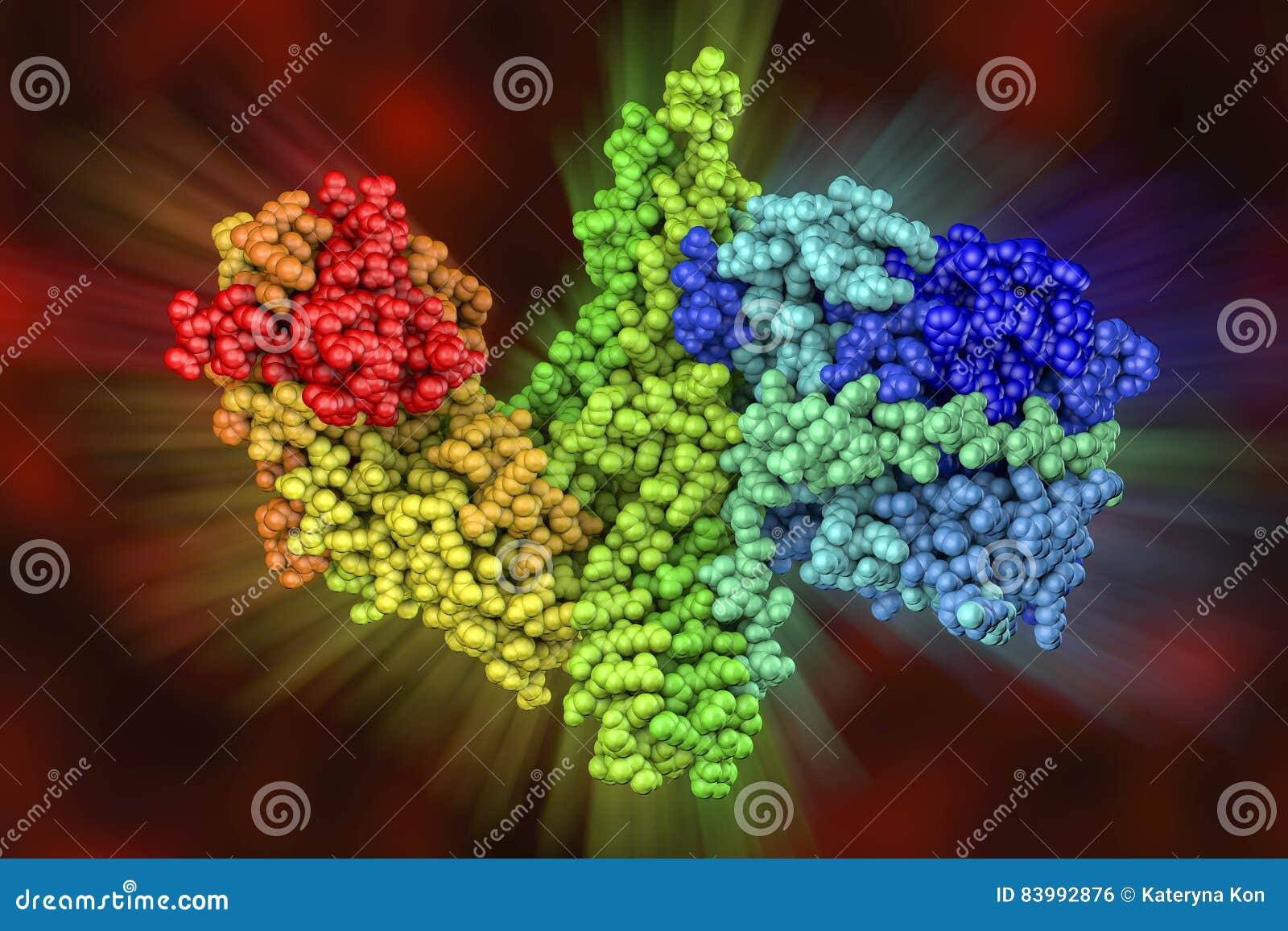 Molecular Model of Botulinum Neurotoxin Stock Illustration ...